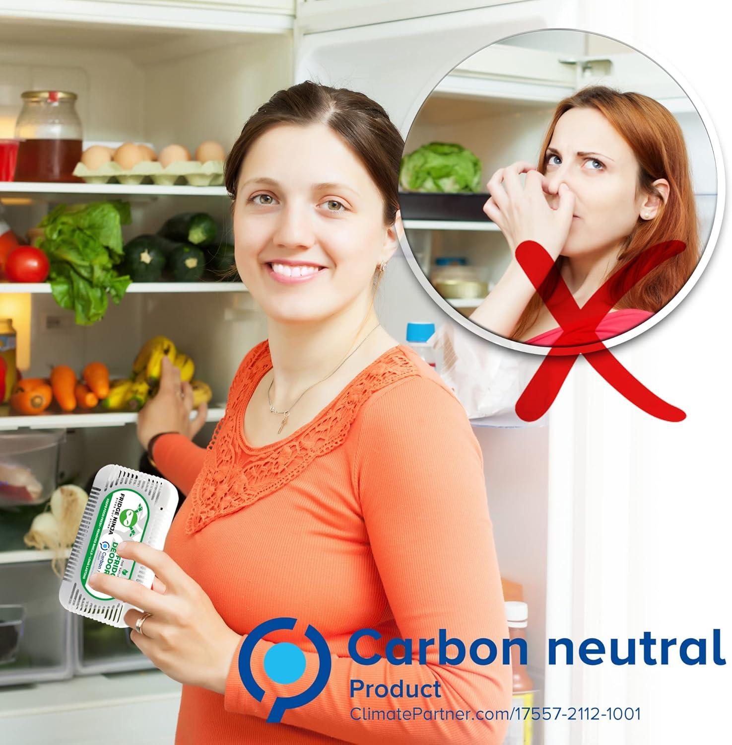 Natural Refrigerator Odor Neutralizer - 4-Pack Activated Carbon ...