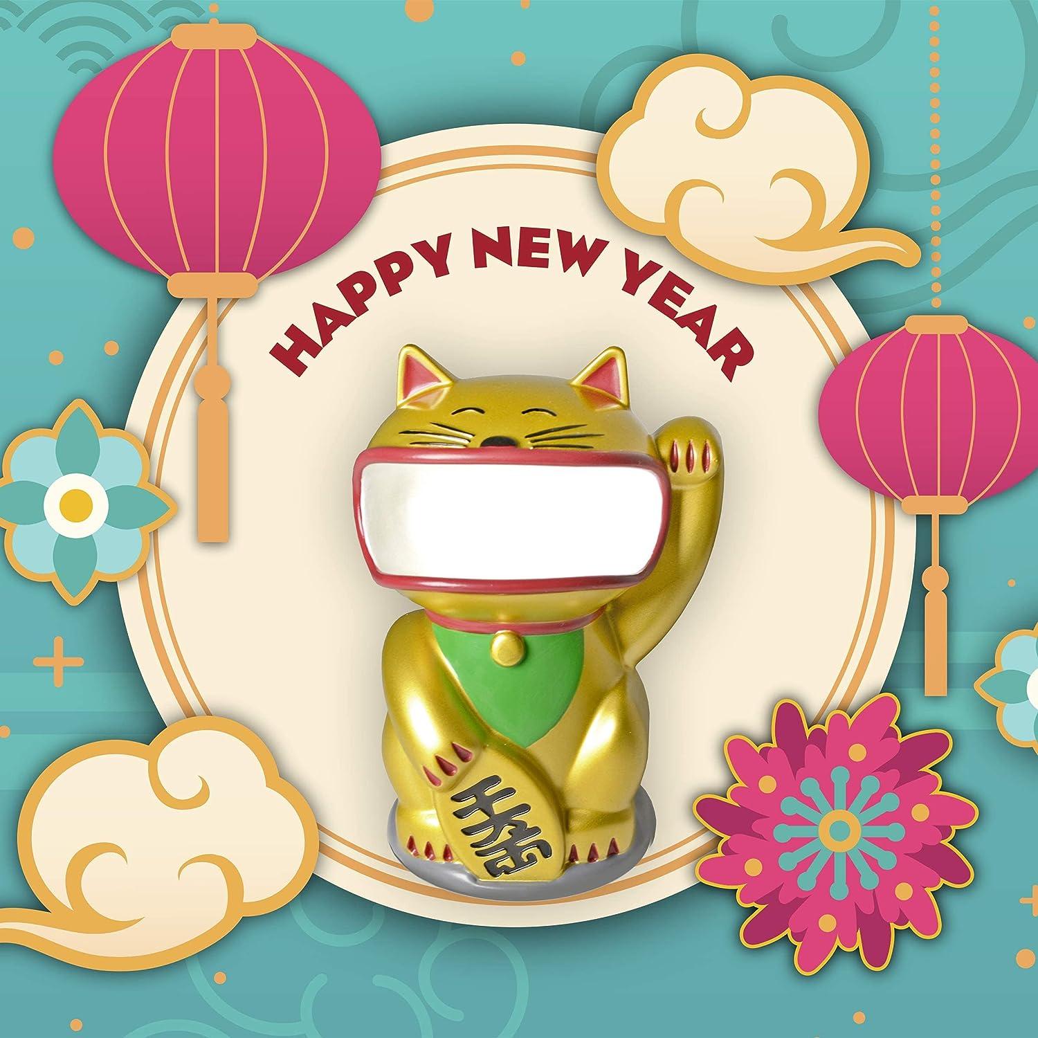 Retainer Buddy Lucky Cat - Sanitary Storage for Retainers, Aligners ...