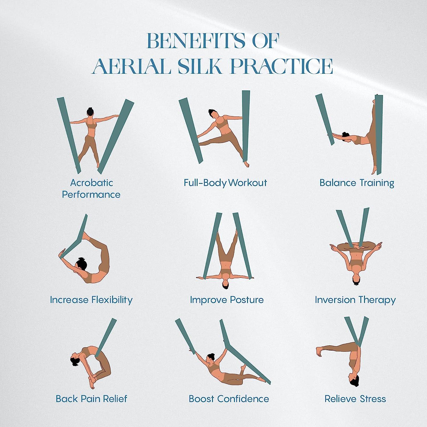 Aum Active 11 Yards Aerial Silks Kit with Swivel & Guide - Durable ...