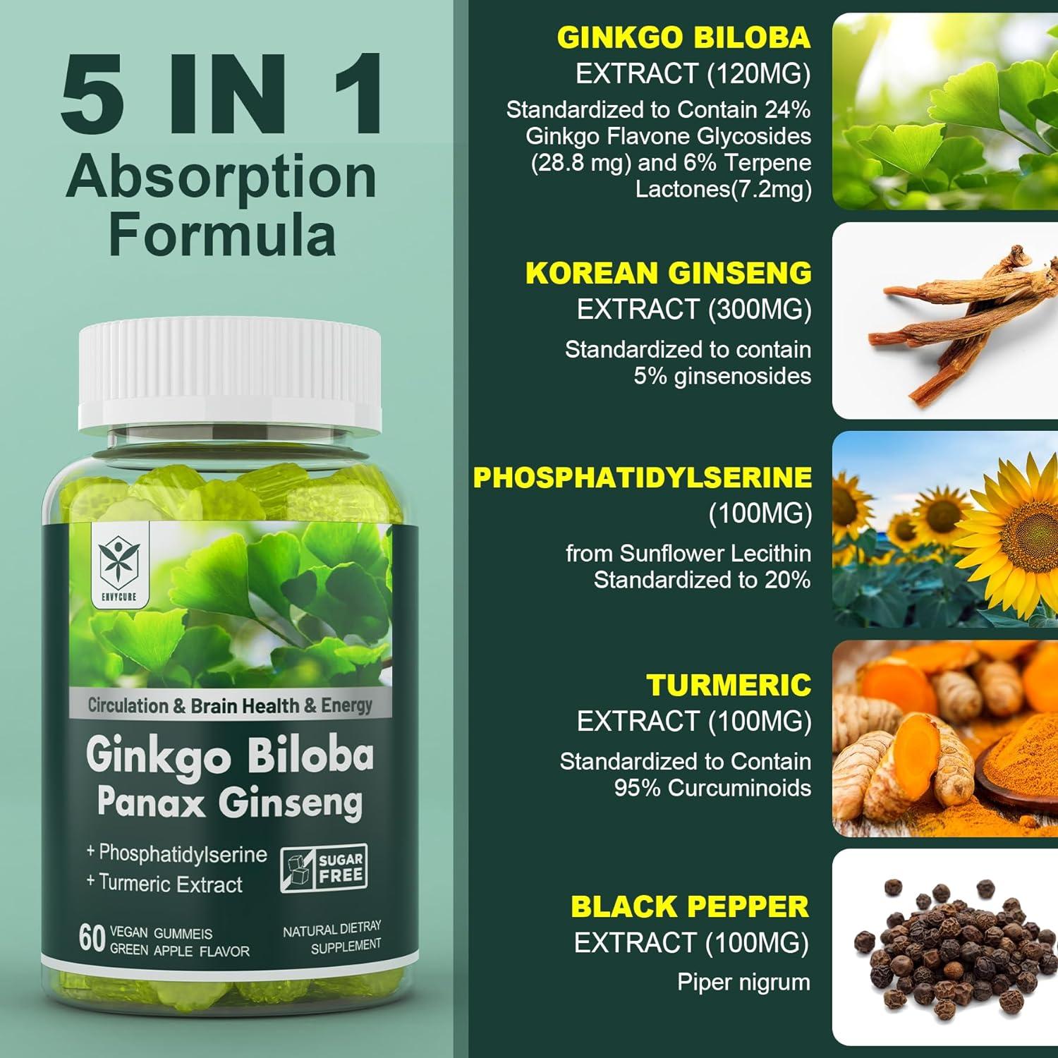 2 Pack Ginkgo Biloba 120mg Gummies | Memory & Focus Supplement with ...