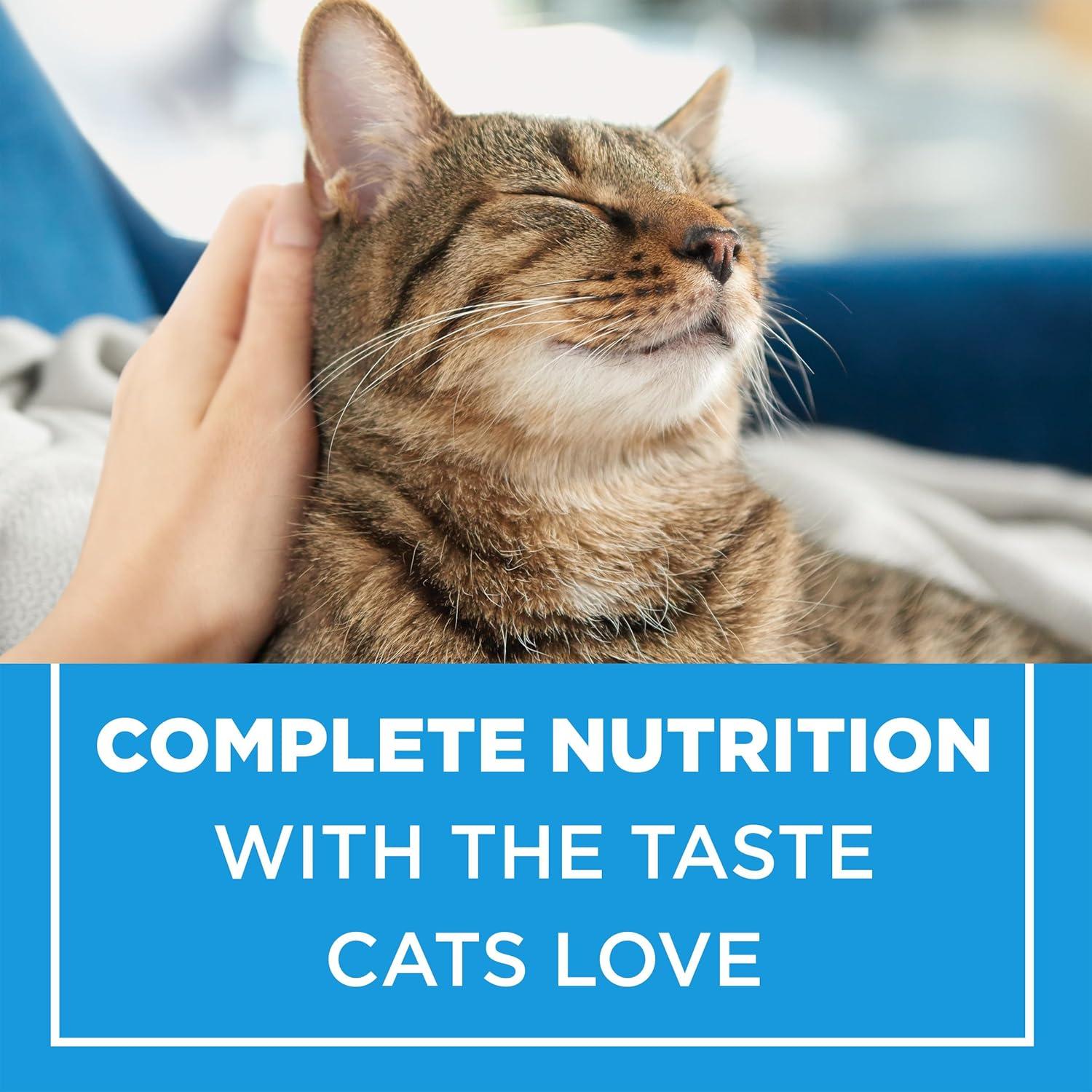 Cat Chow Complete Dry Cat Food Real Chicken - 4 kg Bag 4 kg (Pack of 1 ...