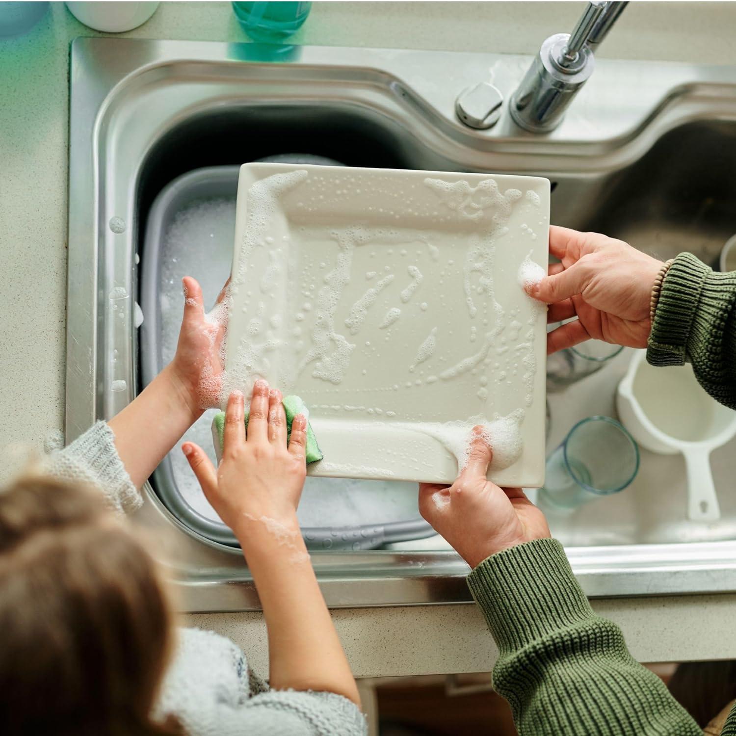 Eco Washing up Liquid Bundle: Ecover Pomegranate & Fig 450ml (x2 ...