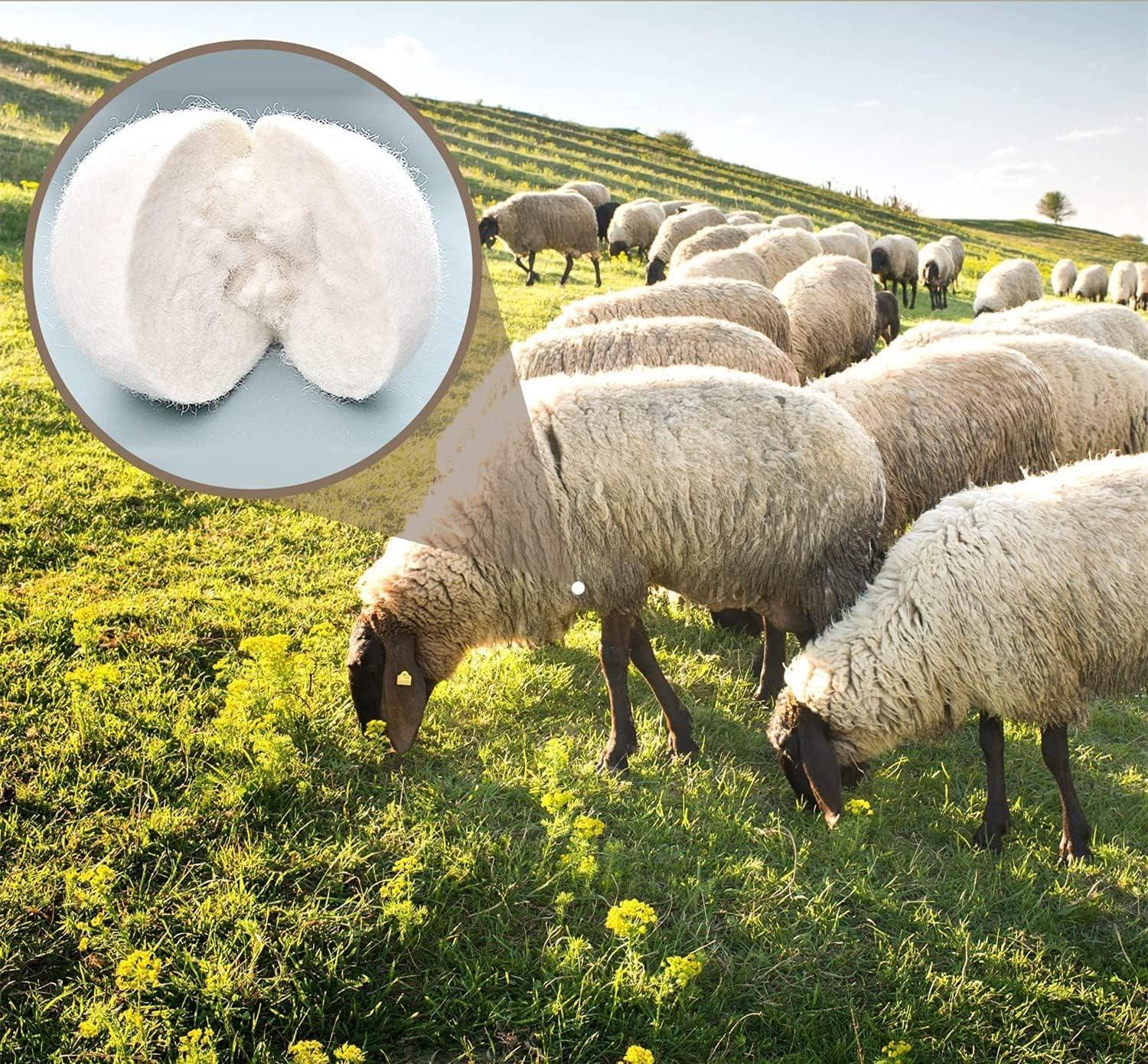 ProLeo Sheep's Wool Balls Reusable Natural Fabric Softener 6 Pieces for ...