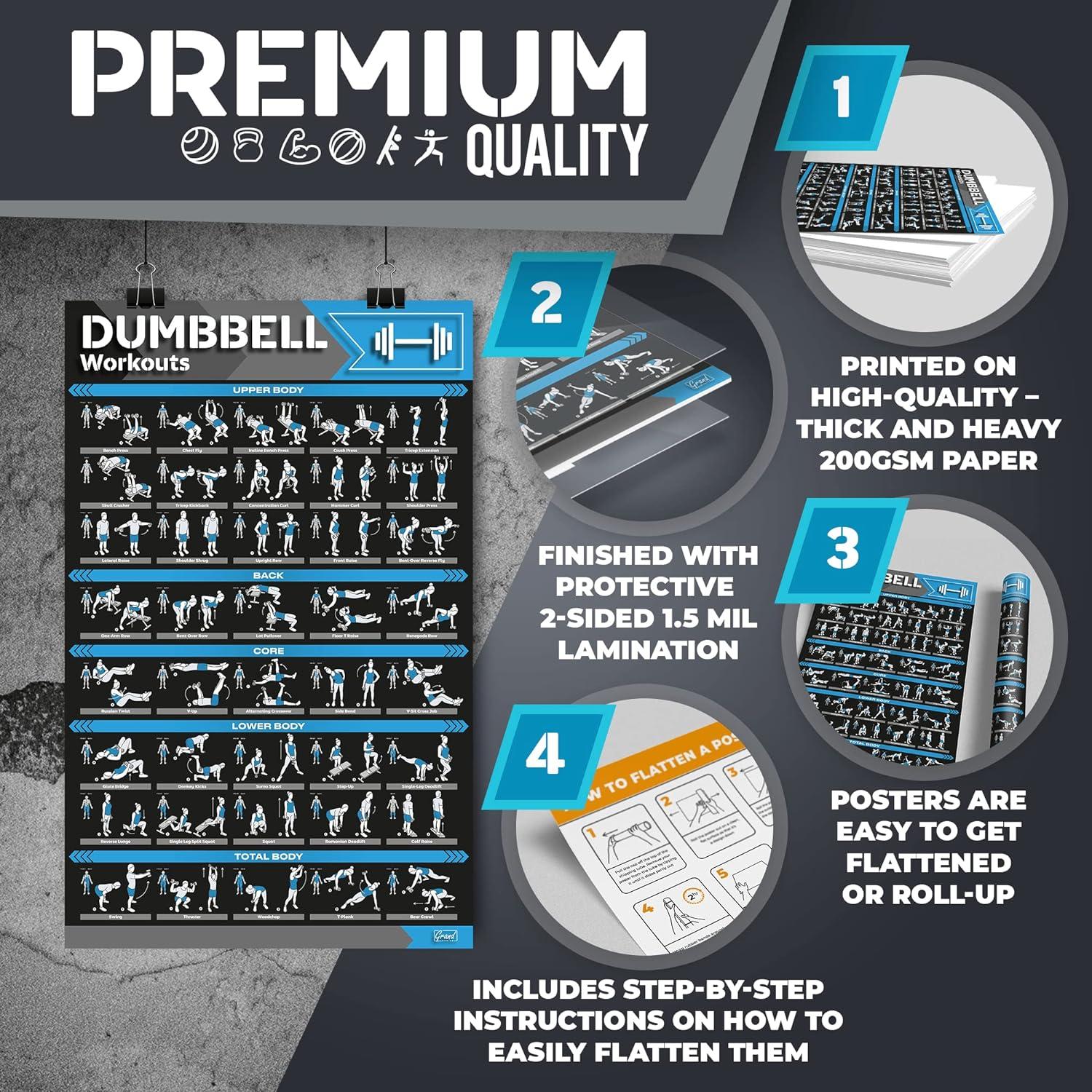 12-Pack Large Workout Poster Set - Home Gym Exercise Charts for ...