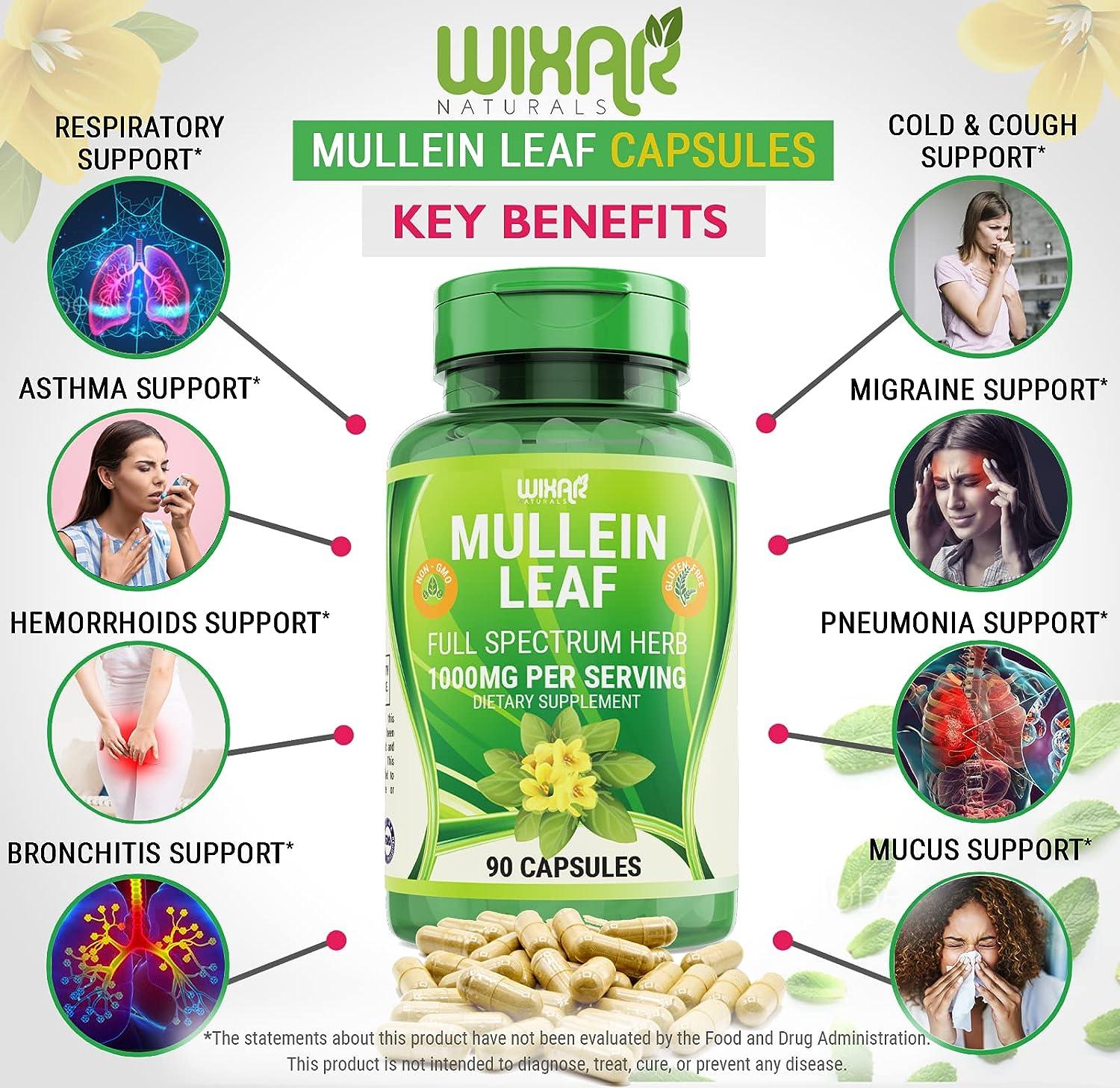 WIXAR NATURALS Mullein Leaf Capsules - 90 Capsules - 1000mg Herbal ...