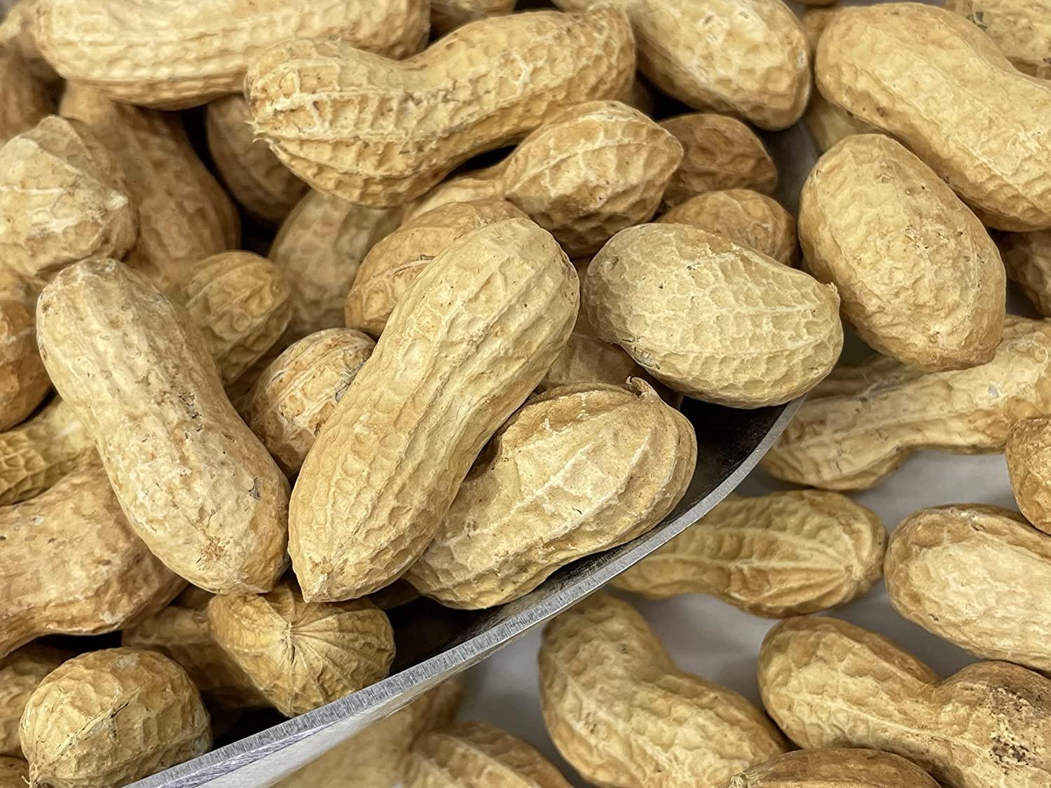 Executive Deal Peanuts in Shell for Birds, Squirrels, Deer, Wildlife ...