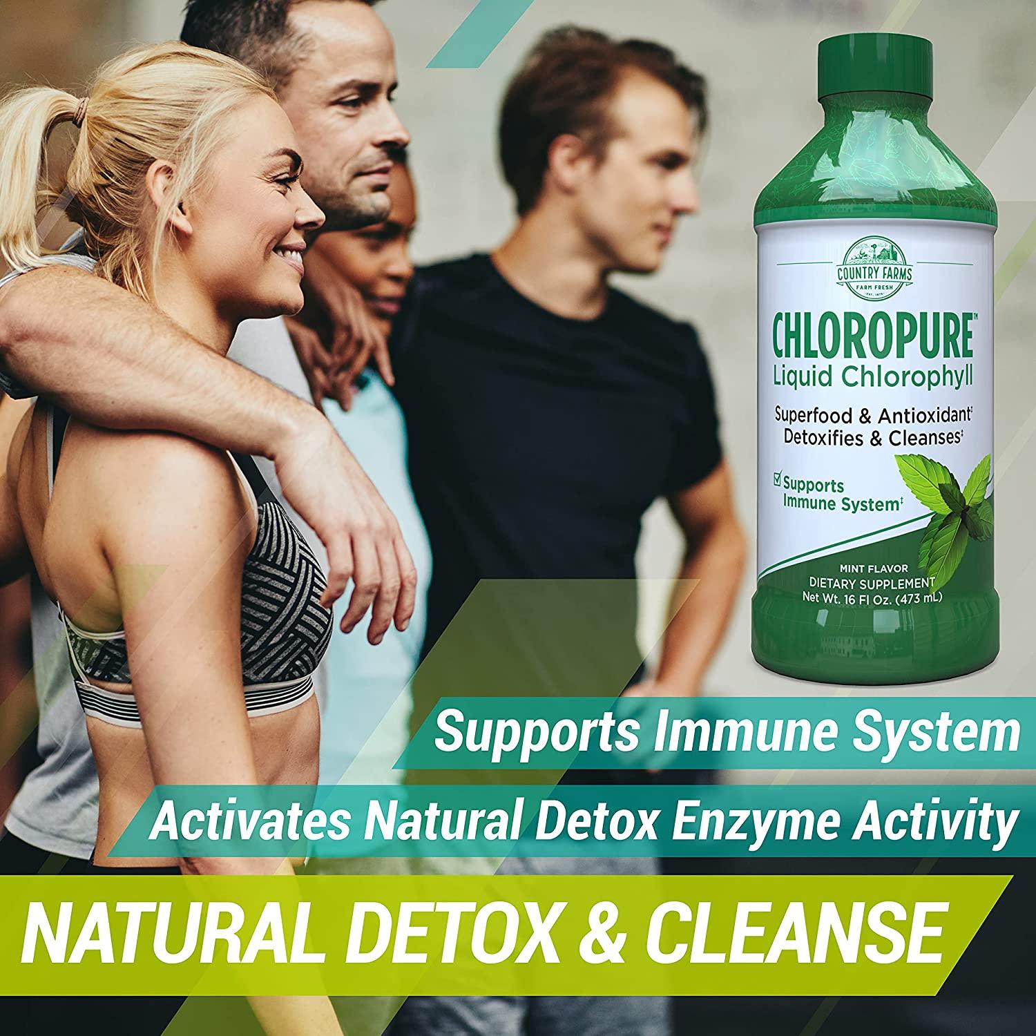 Country Farms Chloropure Liquid Chlorophyll Mint - 16 fl oz ...
