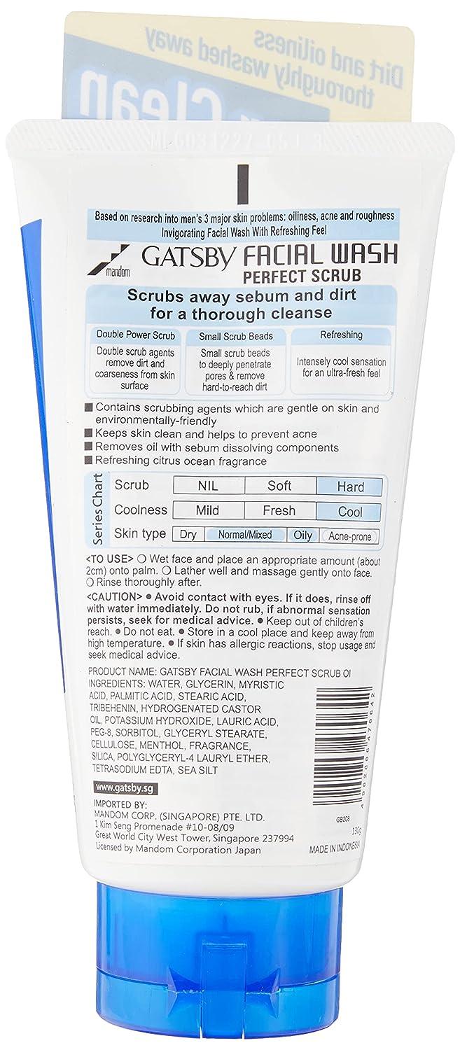 Gatsby Facial Wash Perfect Scrub 130g - Exfoliating Face Cleanser | Buy ...