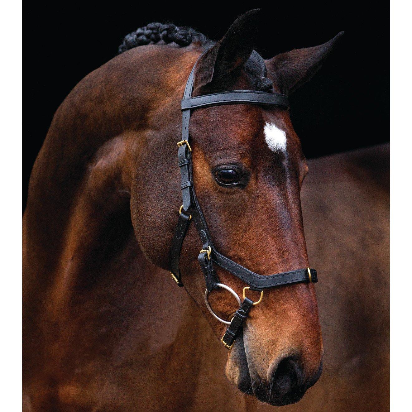 Buy Horseware Rambo Micklem Multibridle for Small Horses ...