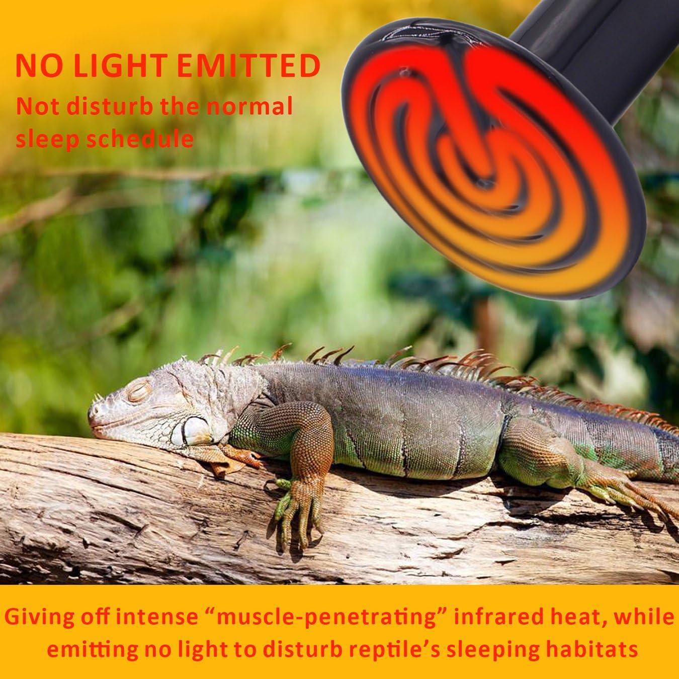 Buy Aiicioo Terrarium Heat Lamp | Ceramic Reptile Light for Lizards ...