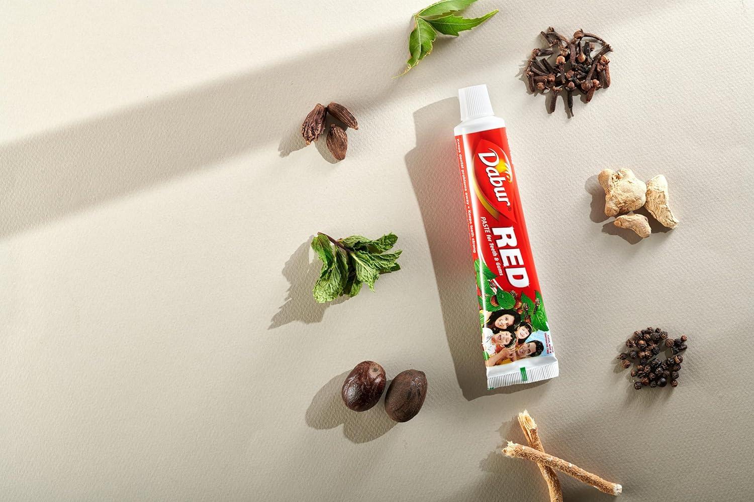 Dabur Red Paste Toothpaste 100g - Clove Oil Pudina & Karpura for Fresh ...
