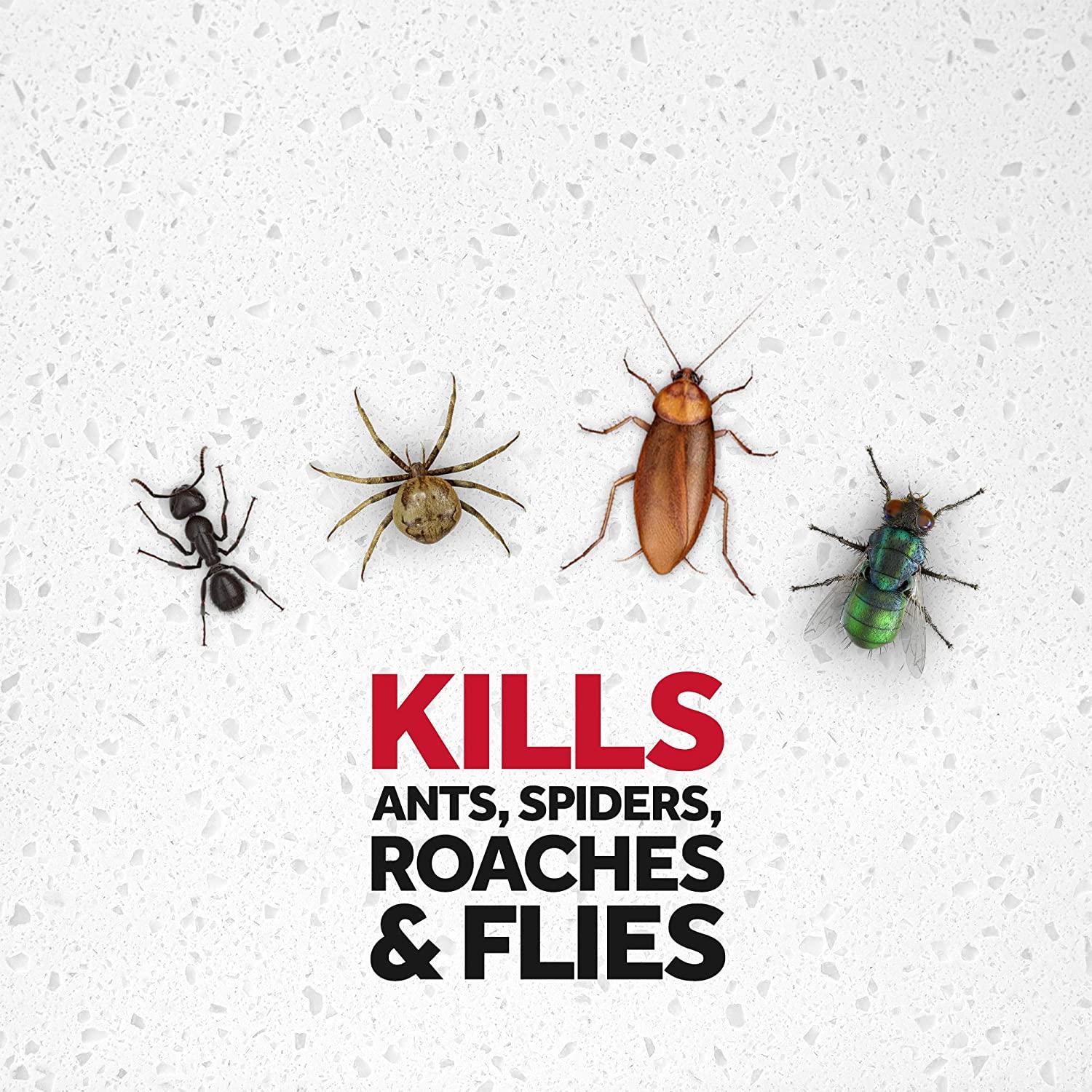 Raid Multi Insect Killer 15 oz - Kills Ants, Spiders, Roaches, and ...