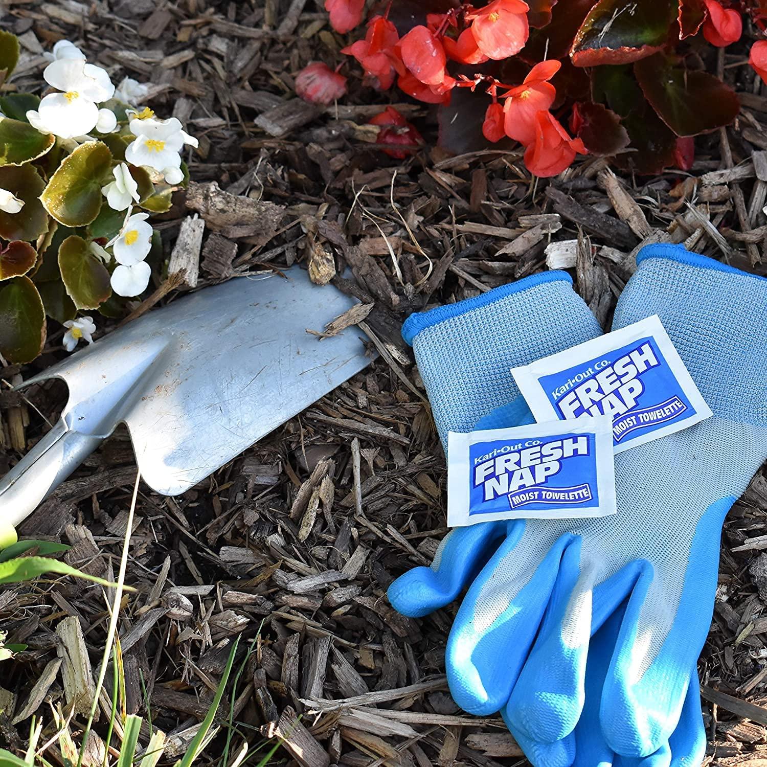 Fresh Nap Moist Towelette 100 Ct. - Refreshing and Convenient Cleansing ...