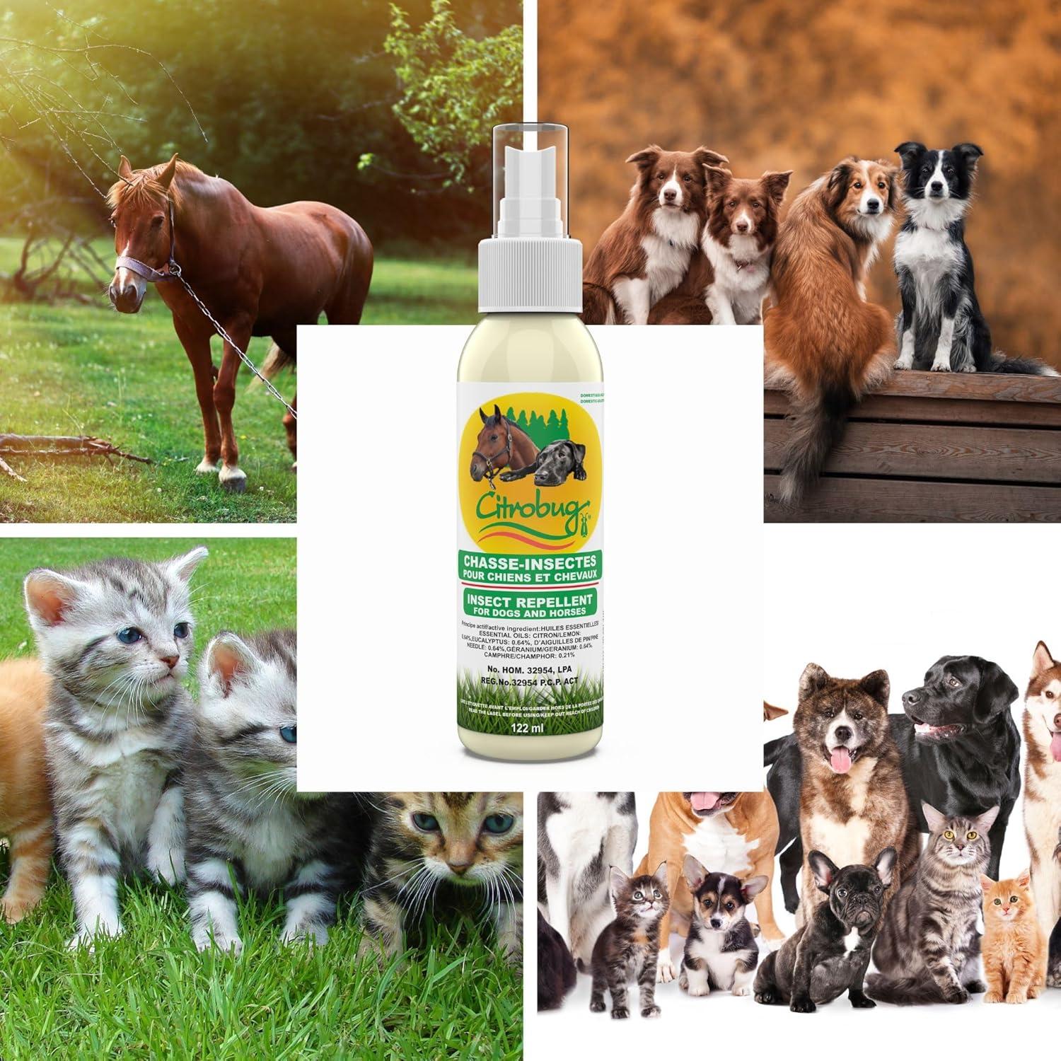 Citrobug Essential Oils Based Insect Repellent for Dogs and Horses - No ...