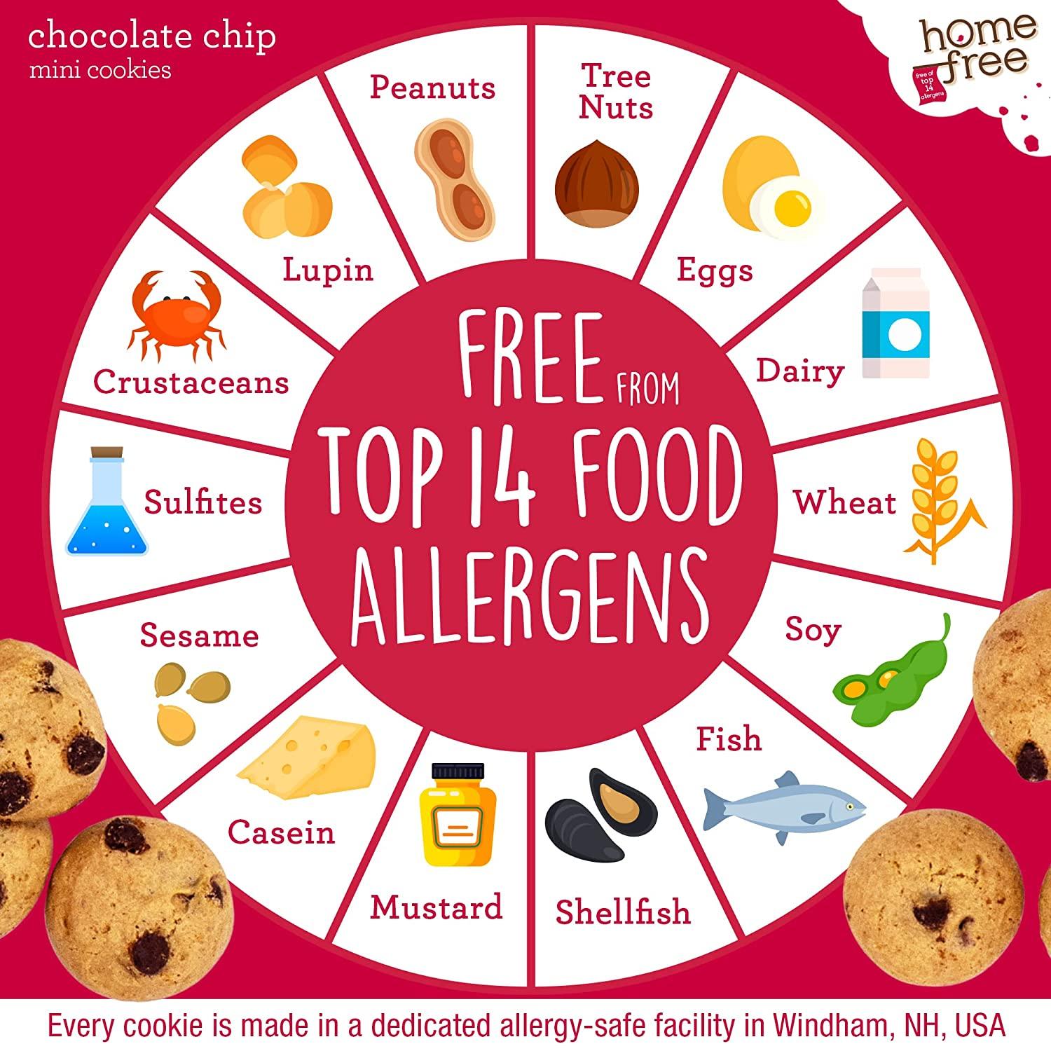 Homefree Mini Chocolate Chip Cookies 30 Pack - Gluten Free, Nut Free ...