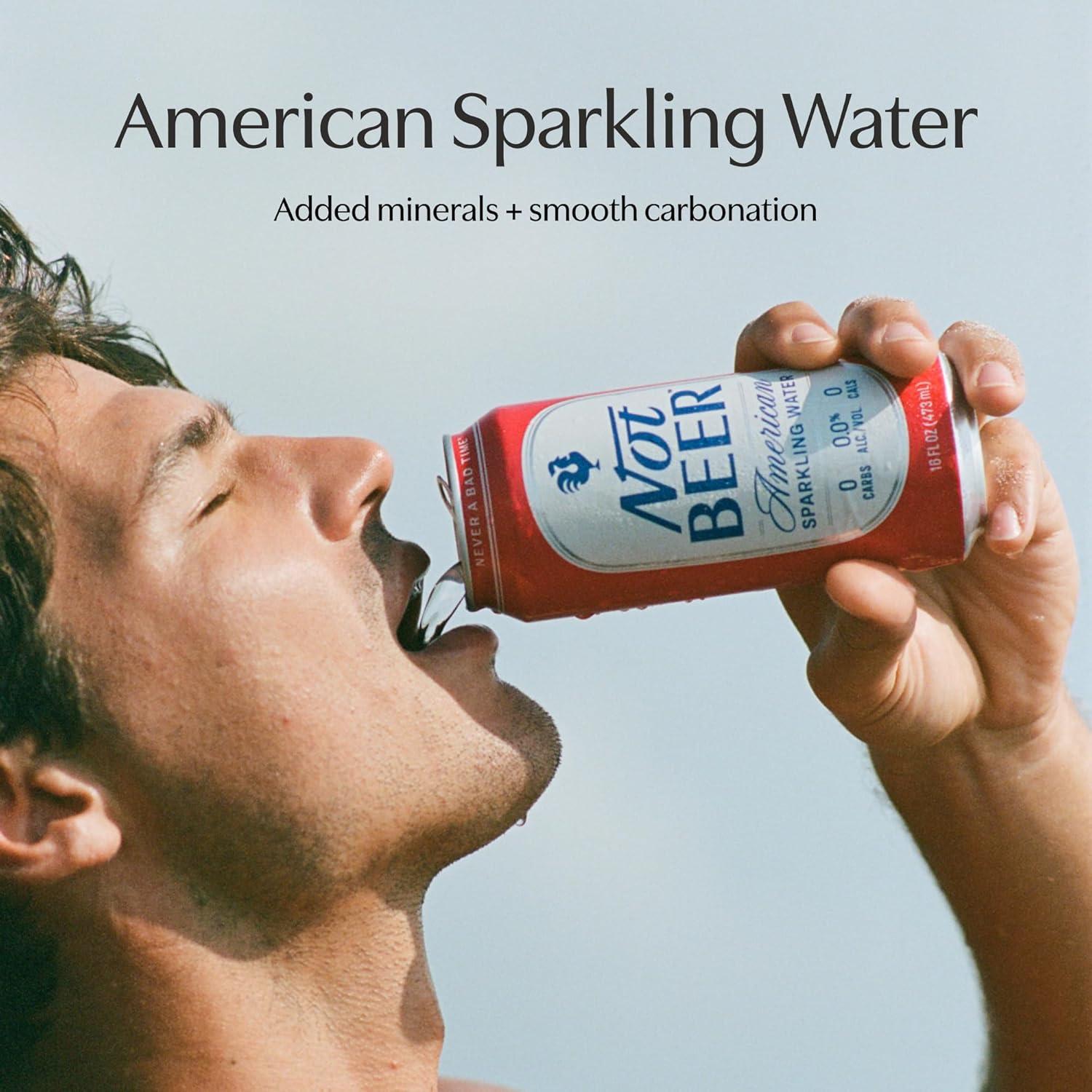Not Beer American Sparkling Water - Unflavored Mineral & Electrolyte ...