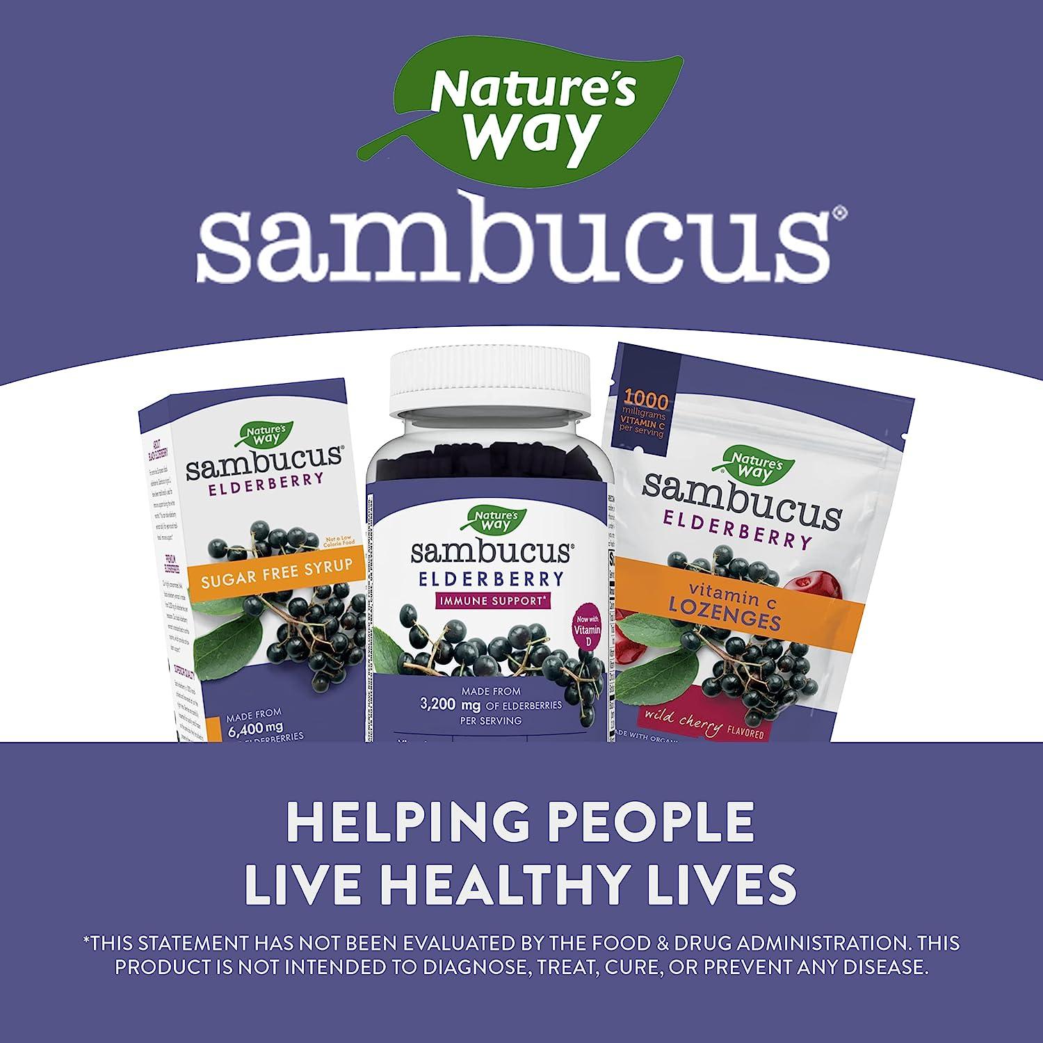 Natures Way Sambucus Elderberry Immune Support Gummies with Vitamin C ...
