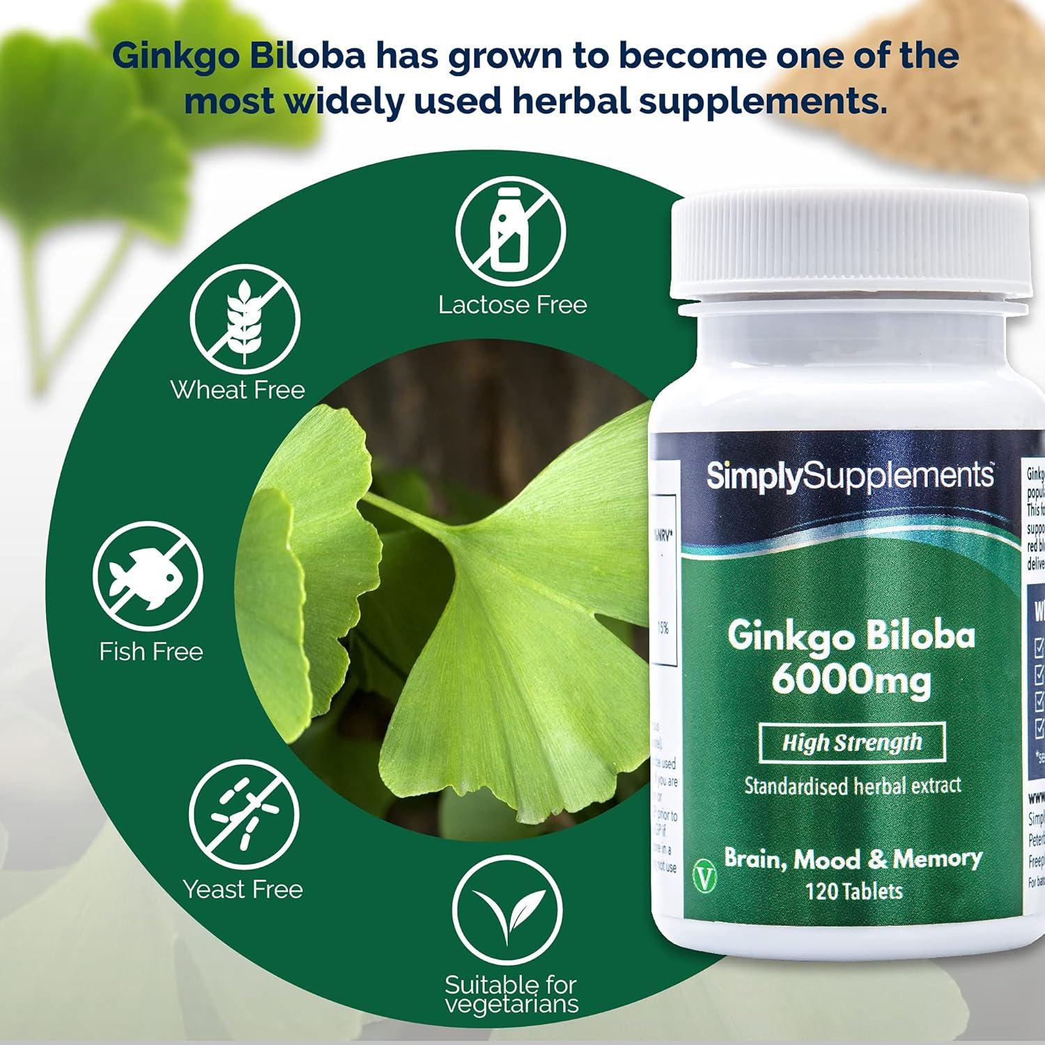 Ginkgo Biloba 6000mg | 120 Tablets | Vegan & Vegetarian Friendly | Made ...