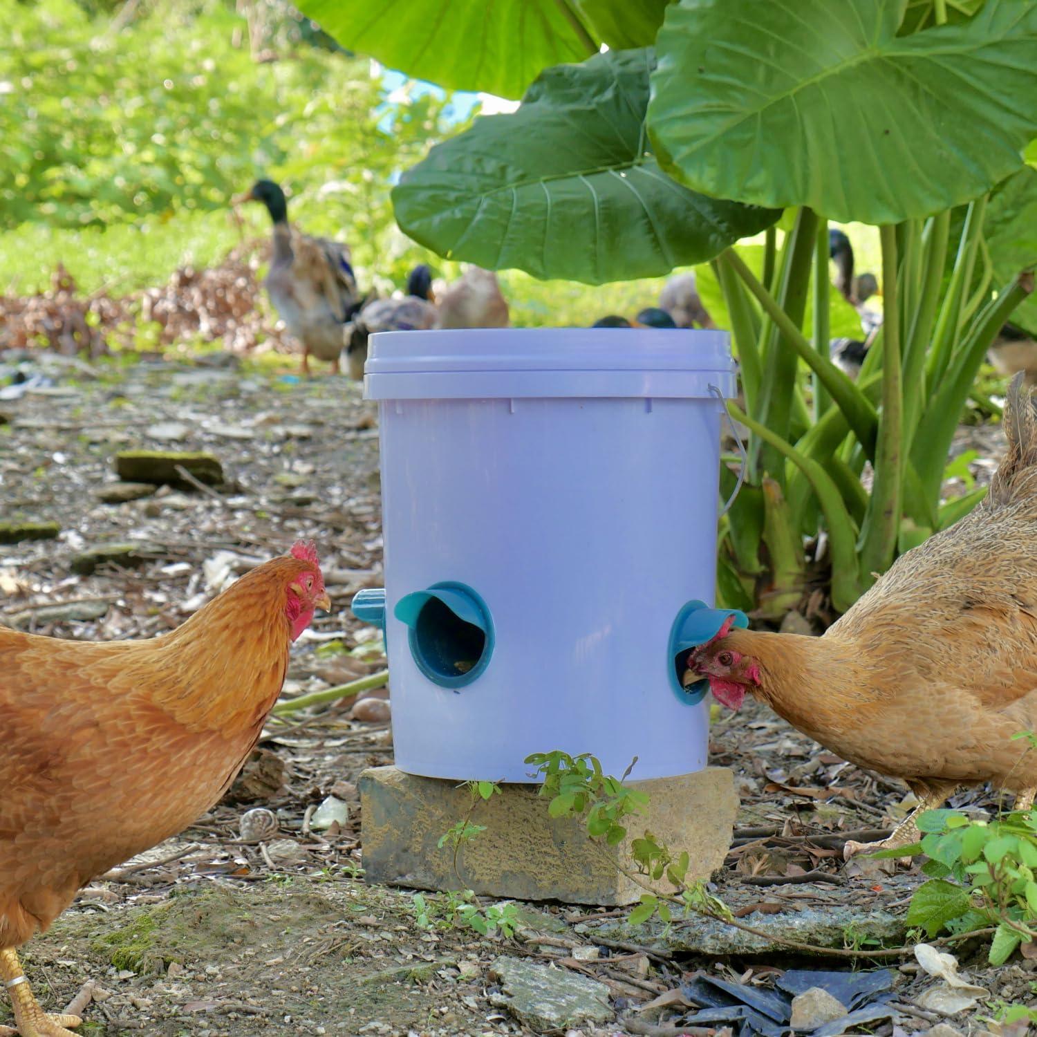 Whimsii No Waste Automatic Chicken Feed Dispenser - Weatherproof ...