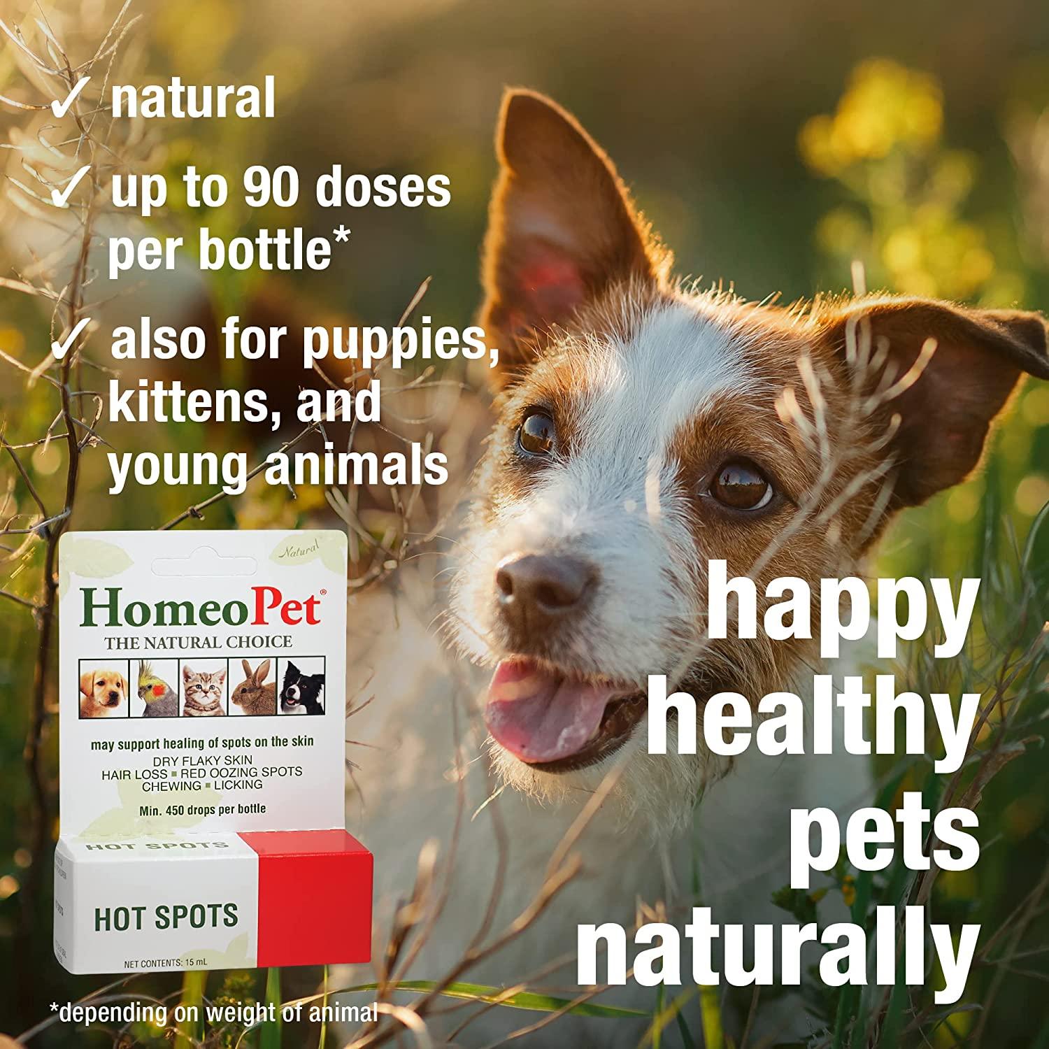 HomeoPet Hot Spots 15ml: Soothing Relief for Pets' Skin Irritations ...