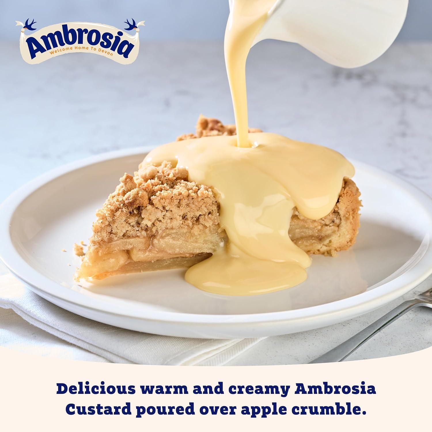Ambrosia Ready-to-Eat Creamy & Delicious Devon Custard Carton 500 g ...