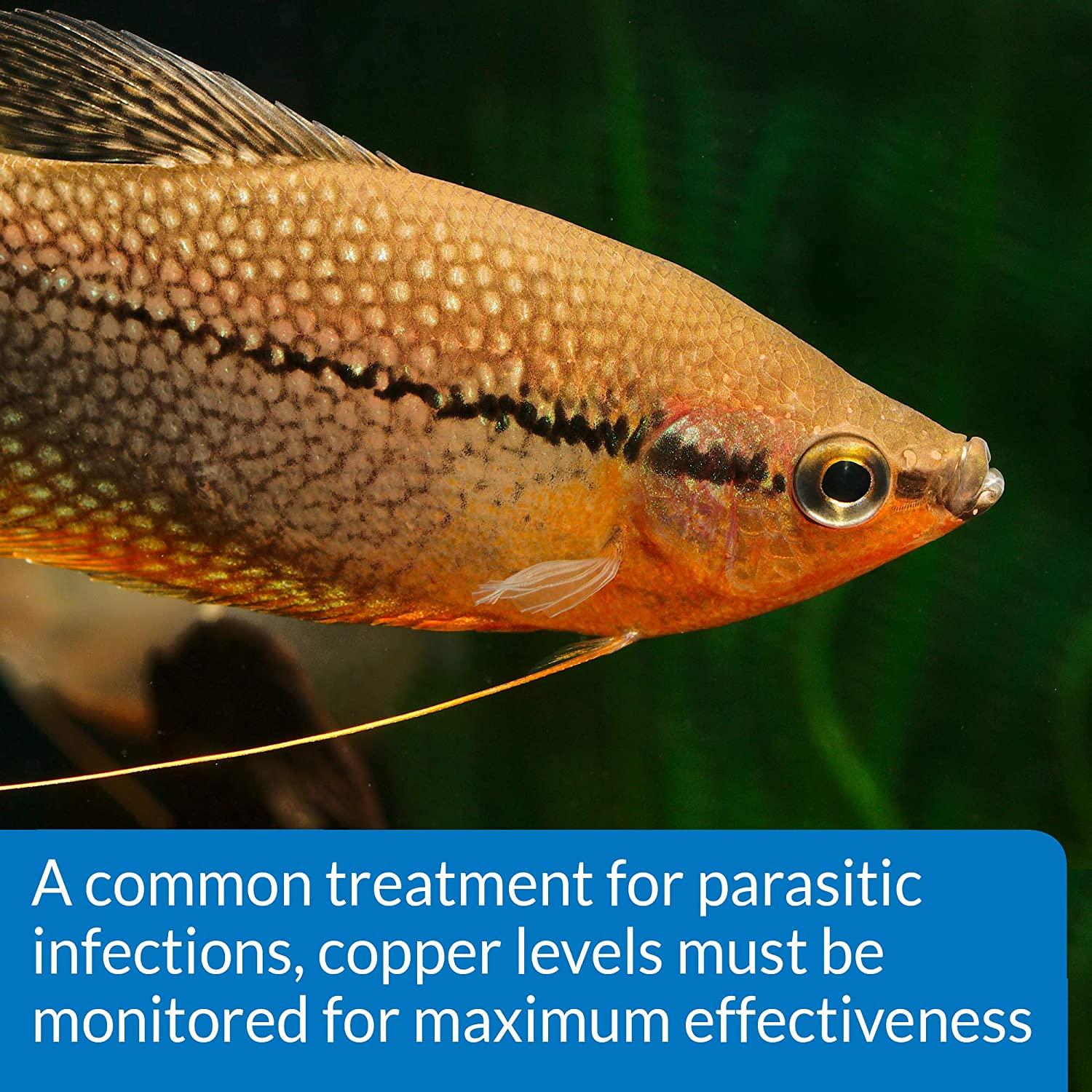 API Copper Test Kit - 90 Tests | Aquarium Water Testing