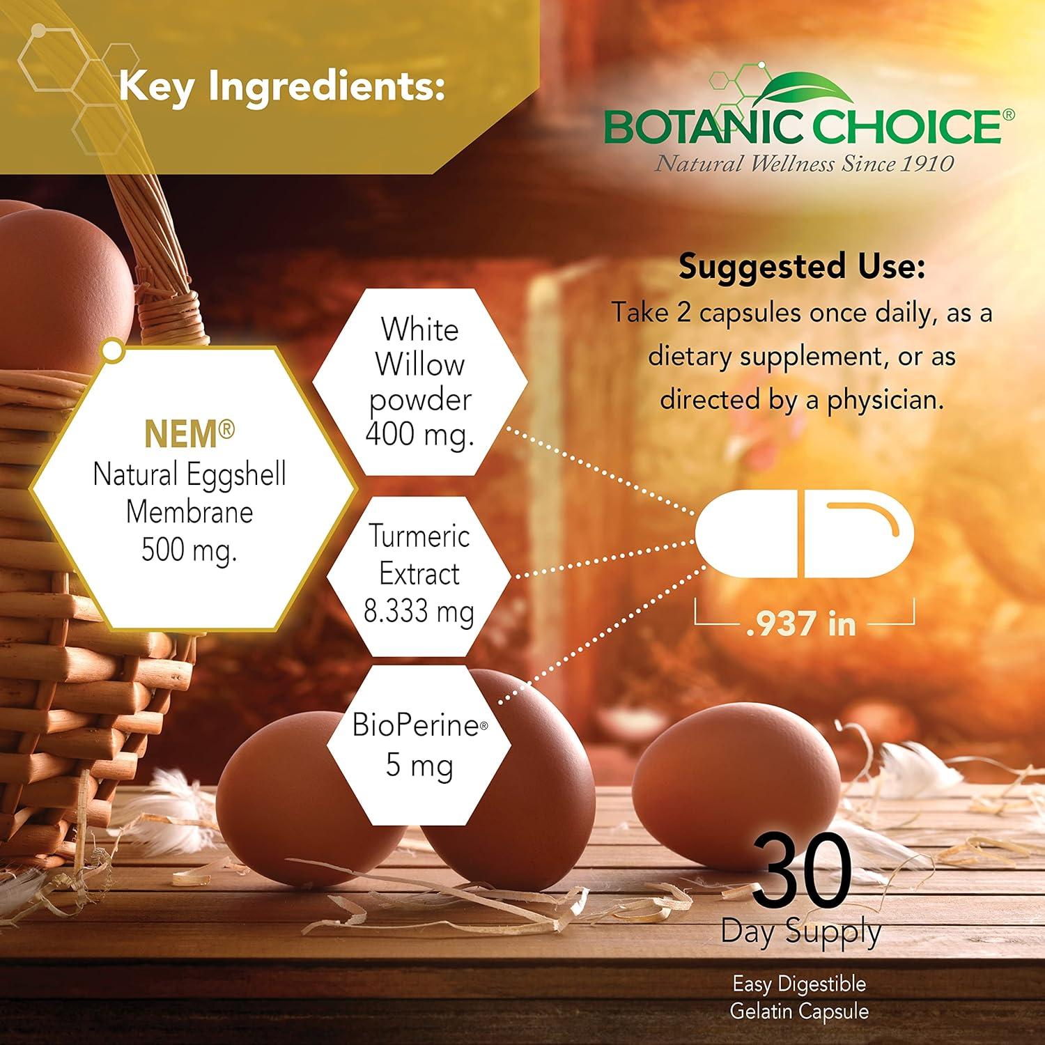 Botanic Choice Fast-Acting Joint Comfort with NEM Natural Eggshell ...