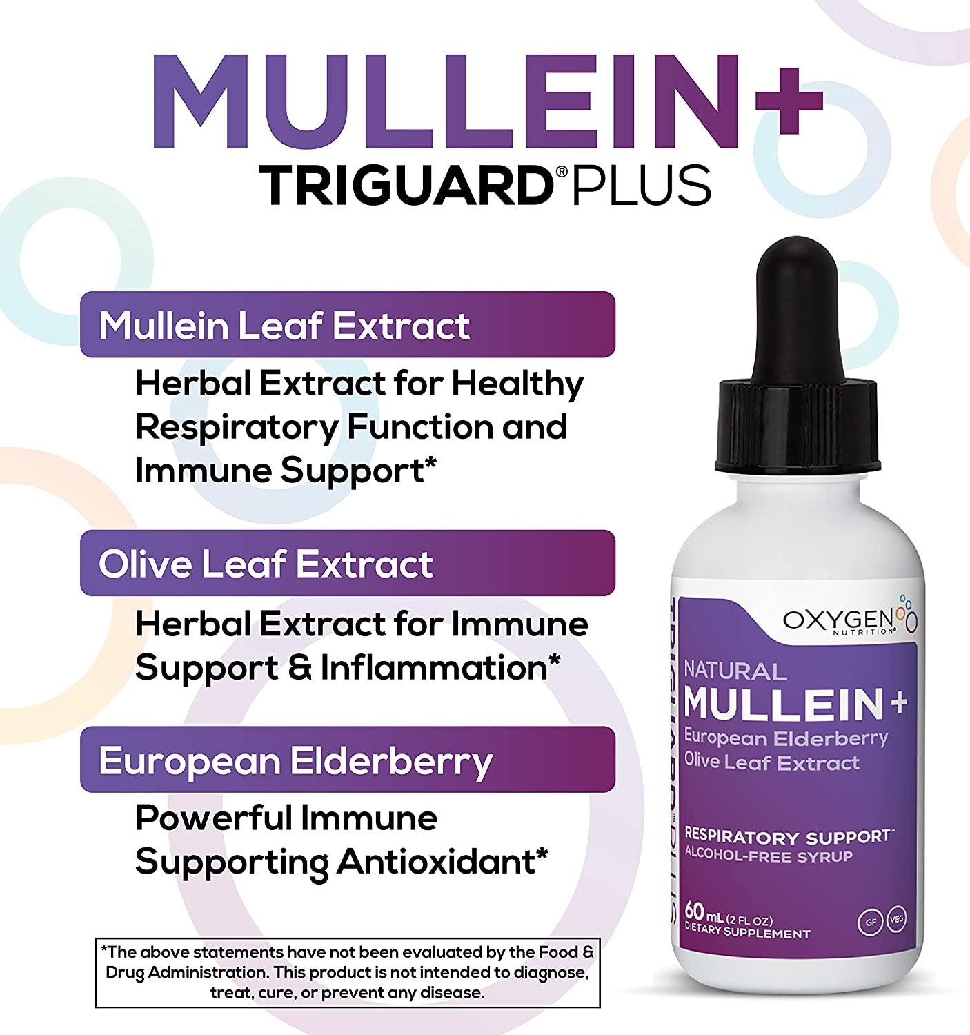 TriGuard Mullein Plus - Mullein, Elderberry & Olive Leaf Extract | 2 fl oz | Supports ...