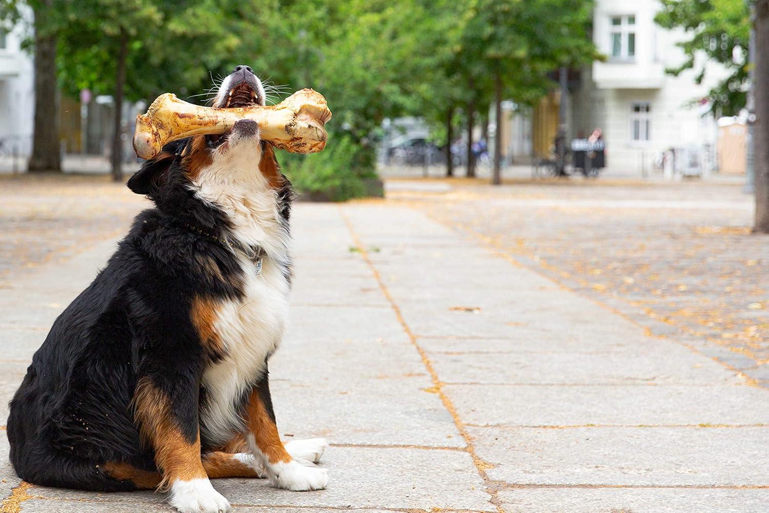 Buy Irish Premium Beef Chewing Bones for Dogs | Cereal-Free & Sensitive ...