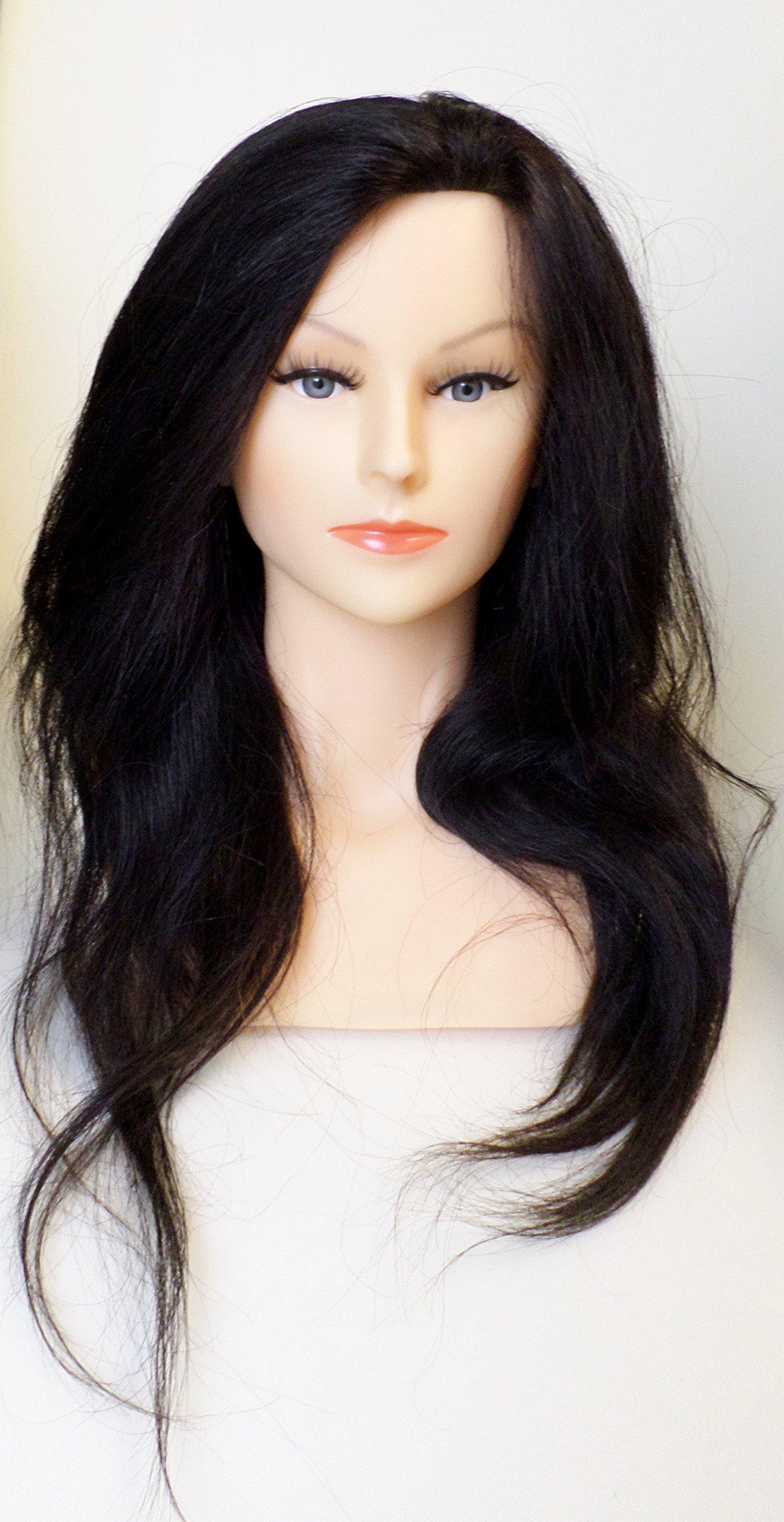 Buy Champion Exercise Head - Premium Quality International Shipping ...