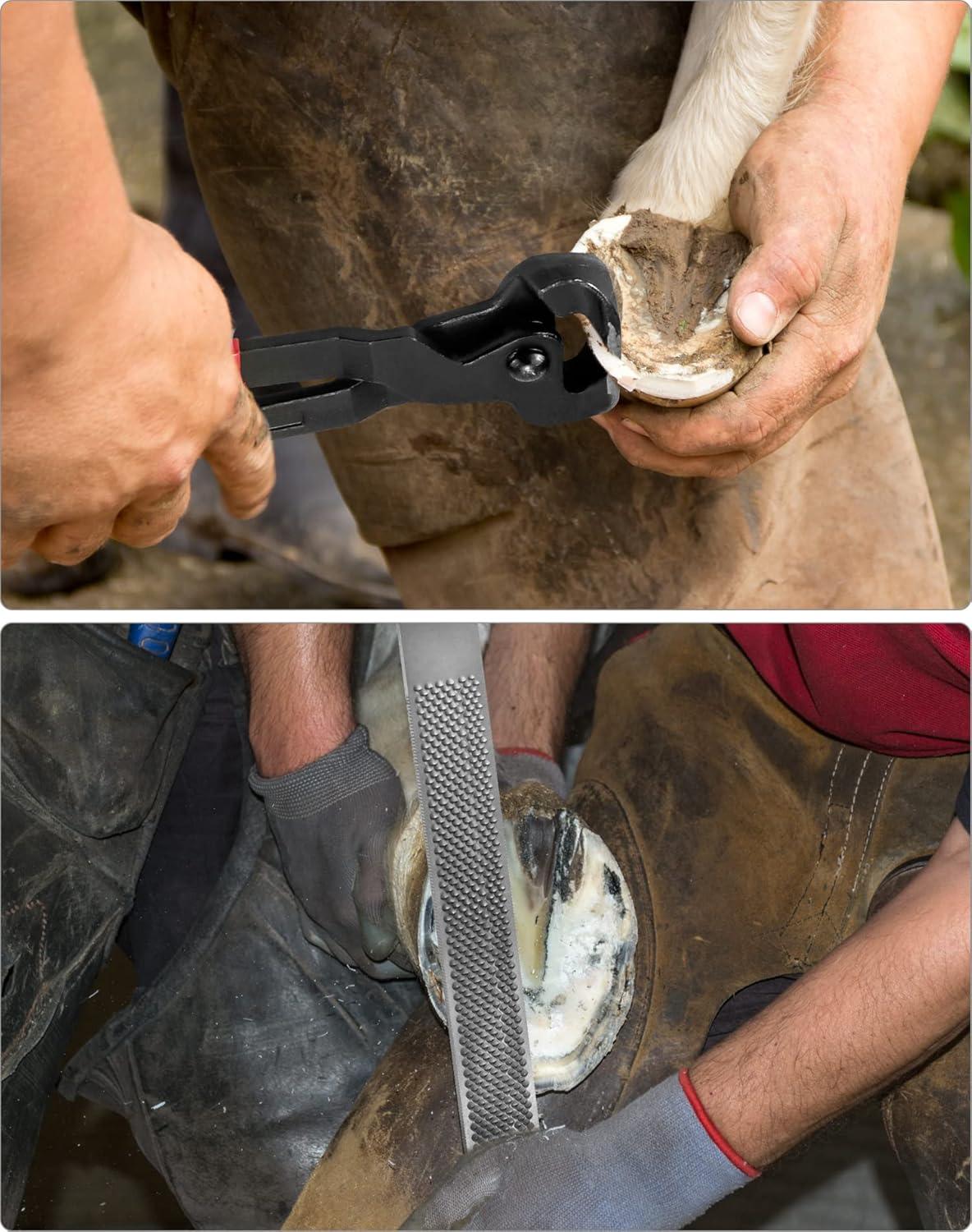 QWORK 3-Piece Professional Hoof Trimming Tool Kit | Hoof Knife Cutting ...