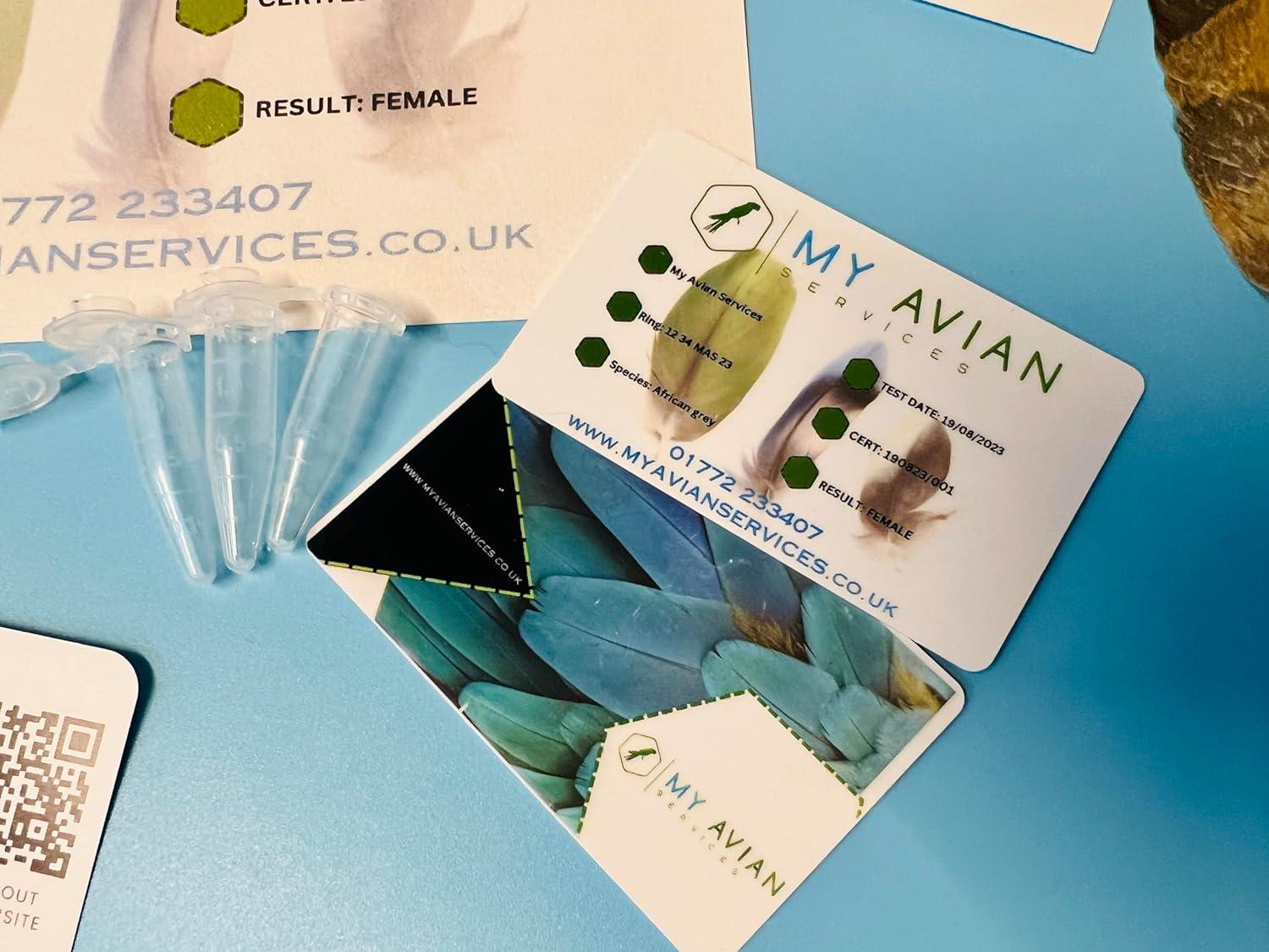 Avian DNA Sexing Kit Including ID Card for Parrots - Macaws Cockatoos ...