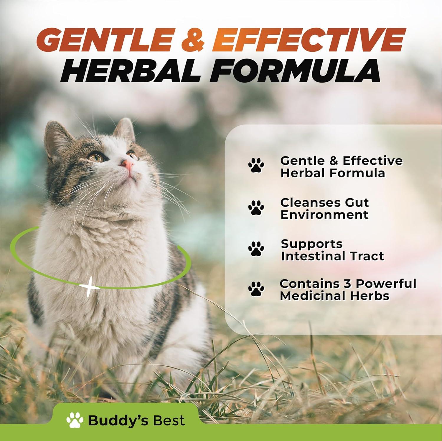 Natural Dewormer for Cats | Herbal Blend with 3 Powerful Medicinal Herbs | 100% Natural ...