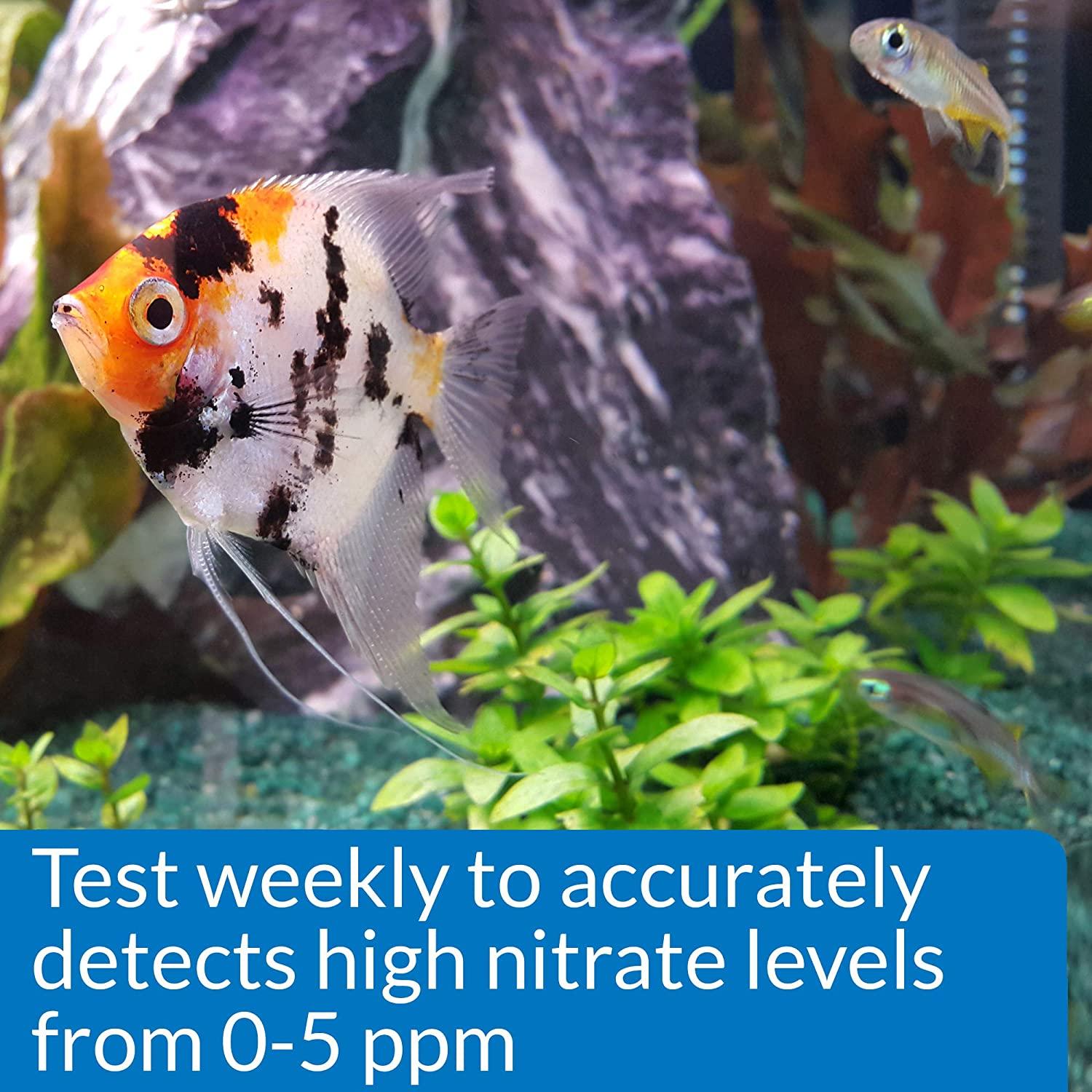 API Nitrite Test Kit - 180-Test Freshwater & Saltwater Aquarium Test ...