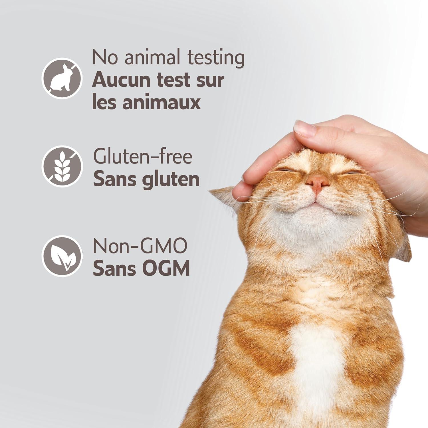 WomenSense VeinSense 90 vegetarian capsules Helps treat Varicose Veins ...