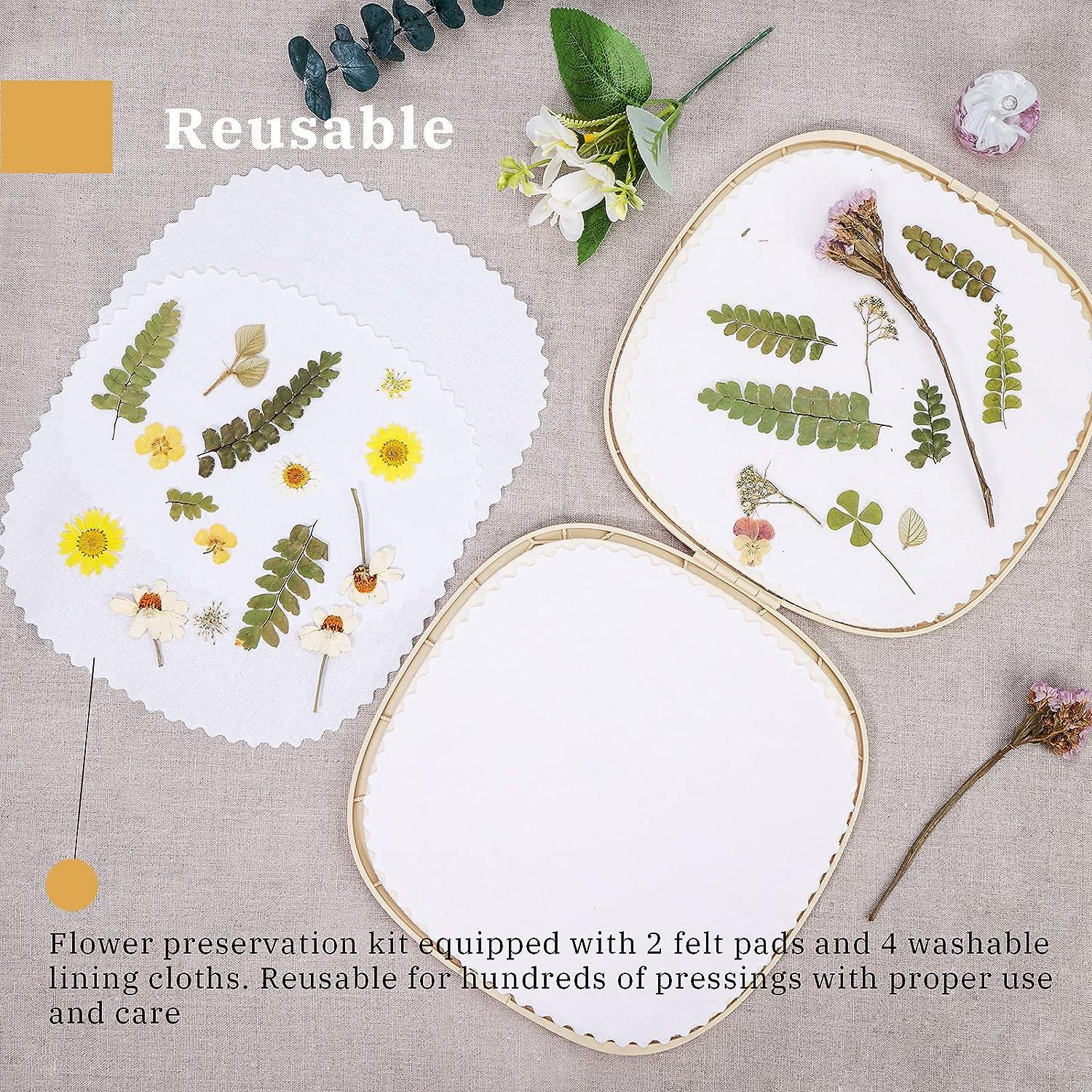 Flower Preservation Kit | Best Flower Site