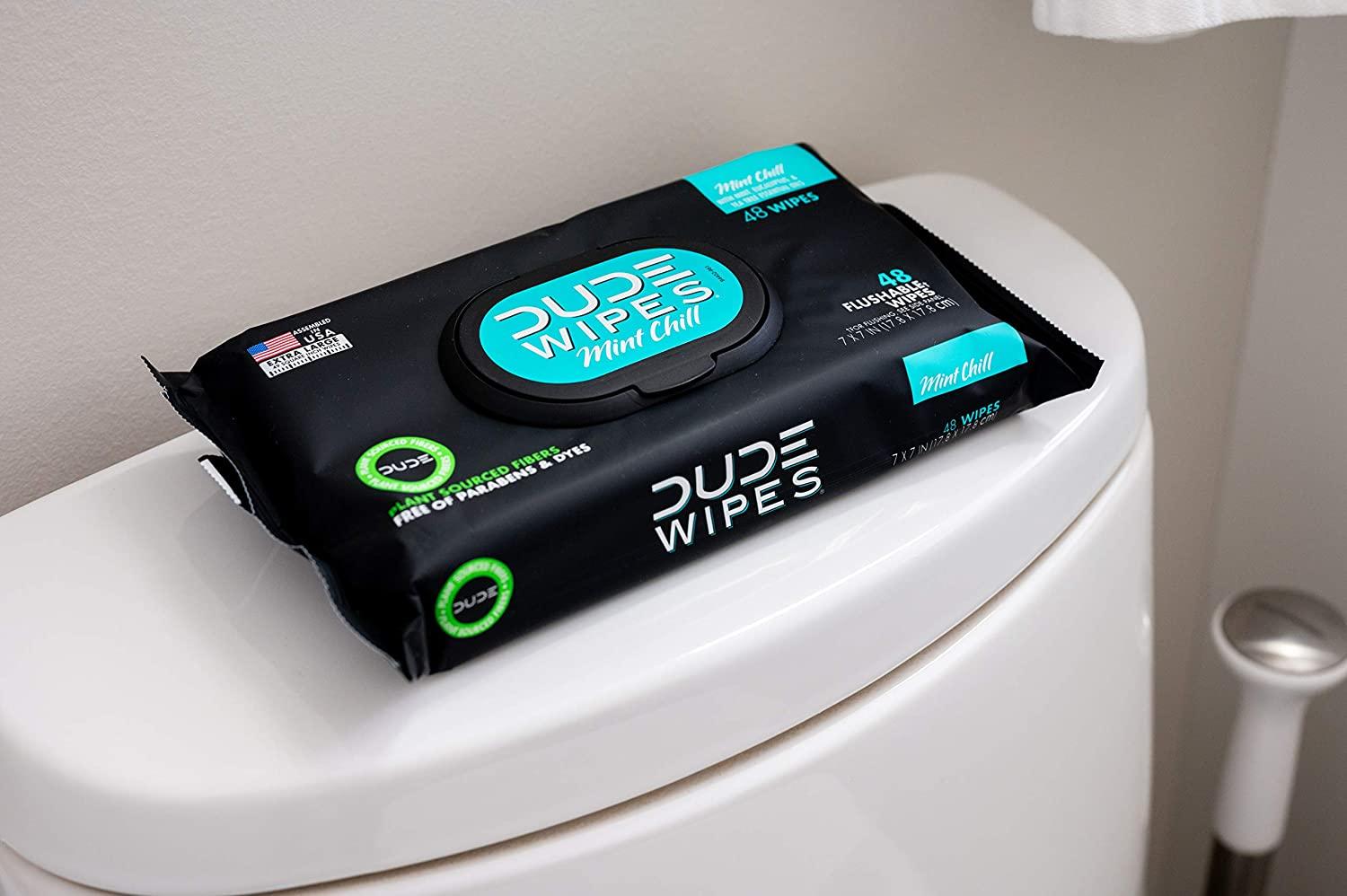 Dude Flushable Wipes - 48 Dispenser + 30 Individually Wrapped Mint ...
