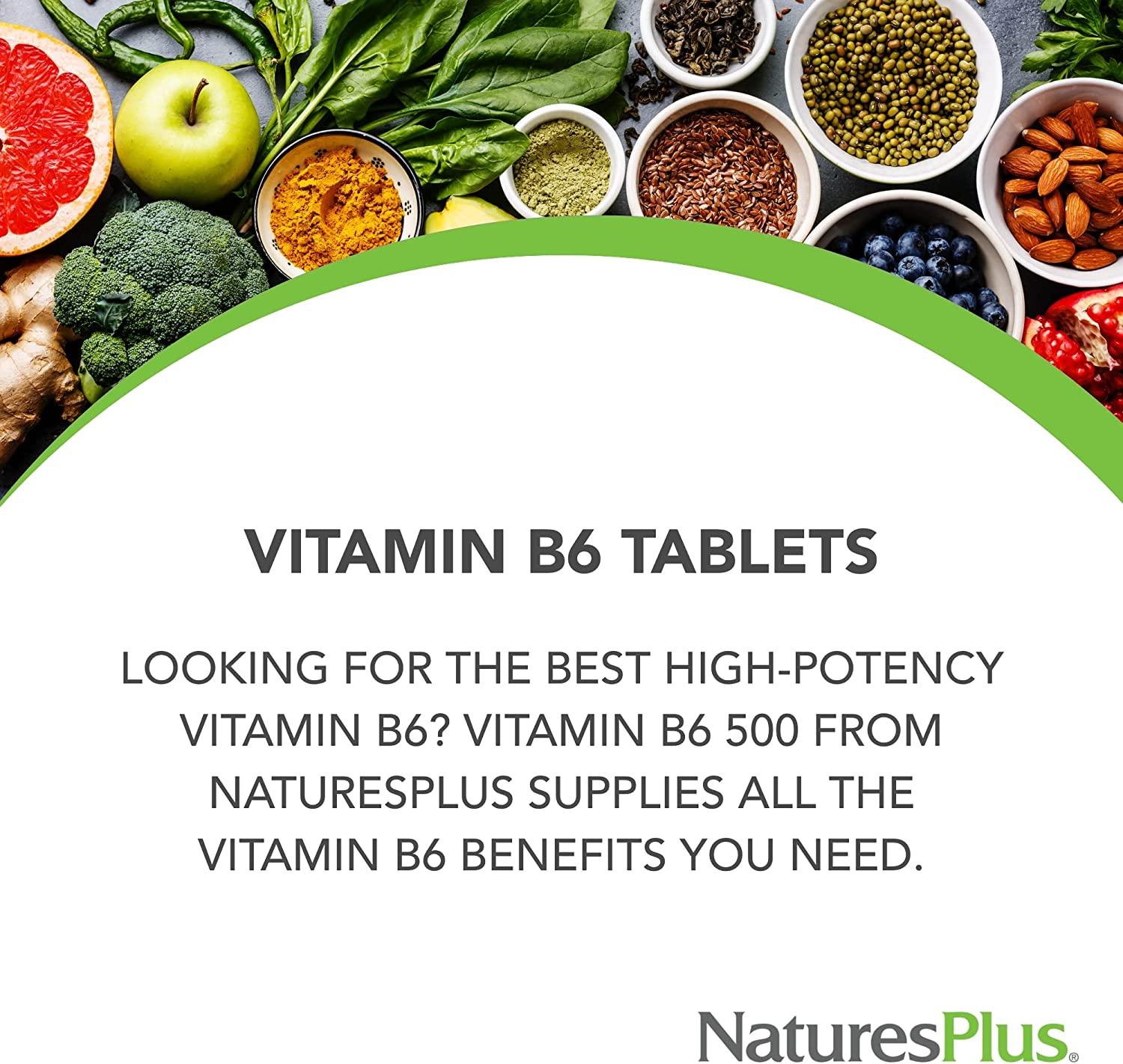 NaturesPlus Vitamin B6 Sustained Release 500mg - 90 Vegetarian Tablets ...