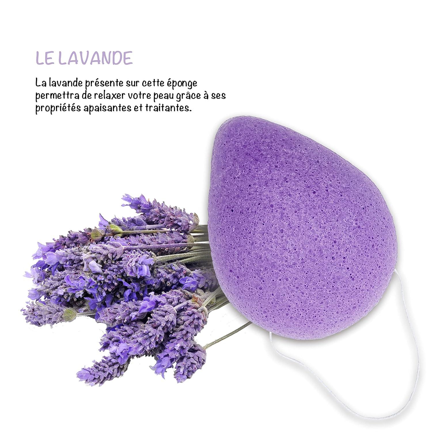 Organic Konjac Facial Sponge Set of 4 | Lavender Infused Naturally ...