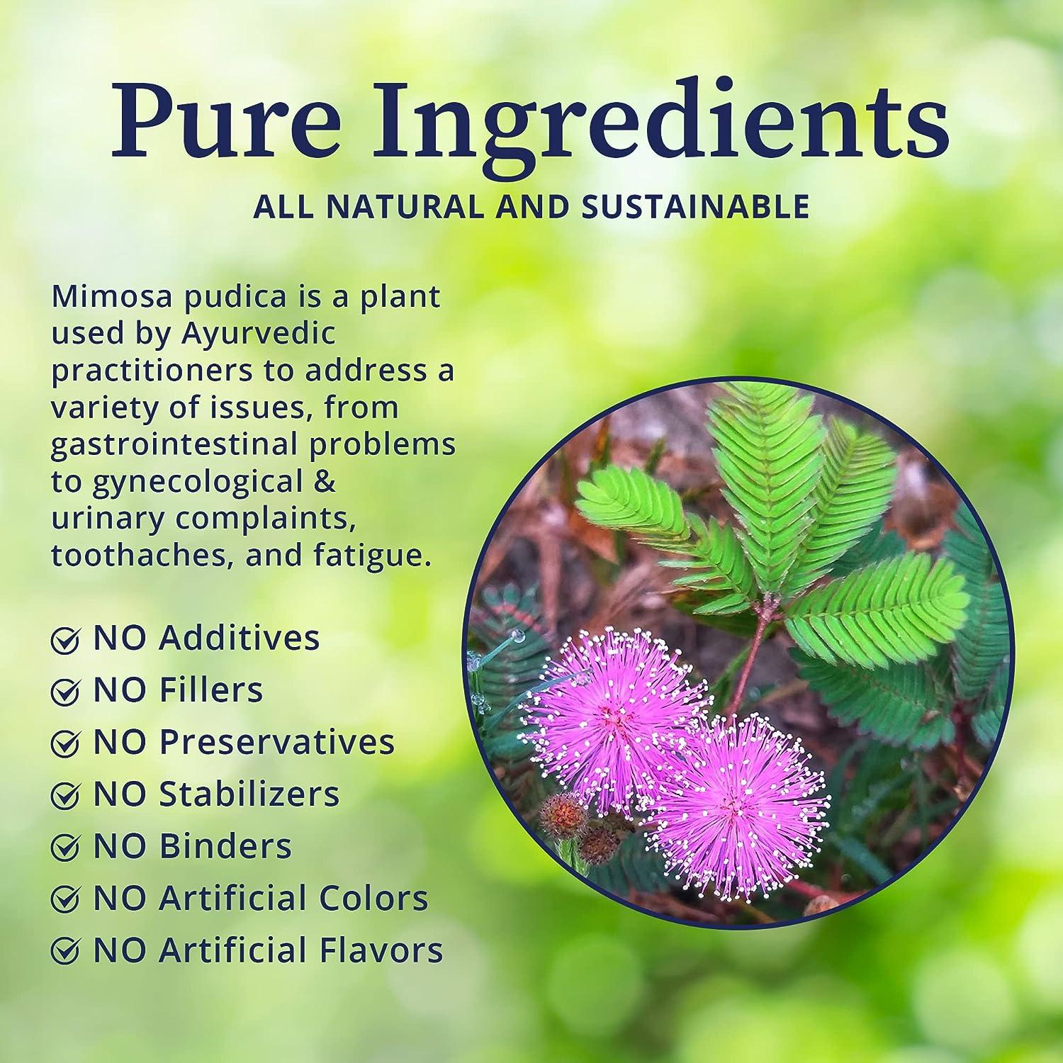 BioPure Mimosa Pudica Powder - 4oz | Organic Wildcrafted Formula for Gut Health & Microbiome ...