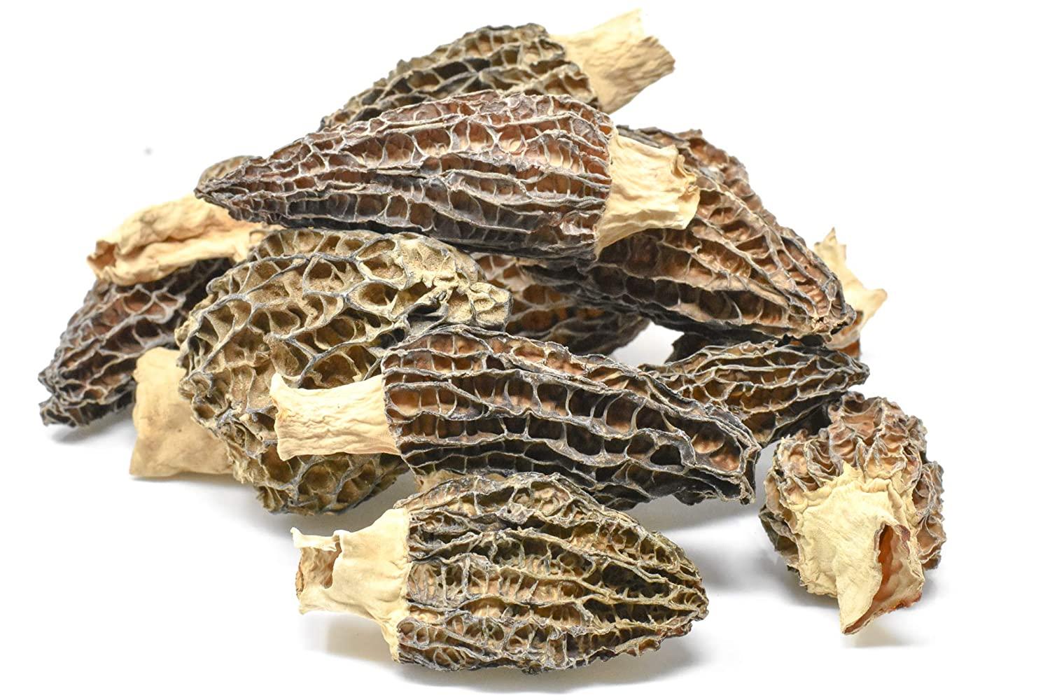 Slofoodgroup Dried Morel Mushrooms (2 oz) - Gourmet Morchella Conica ...