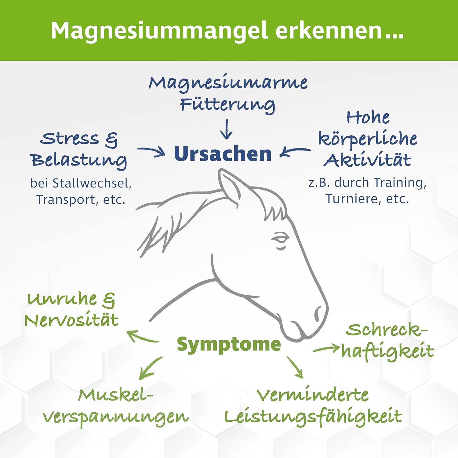Vitpet+ Magnesium Citrate for Horses | Premium 500g Powder for Muscle ...