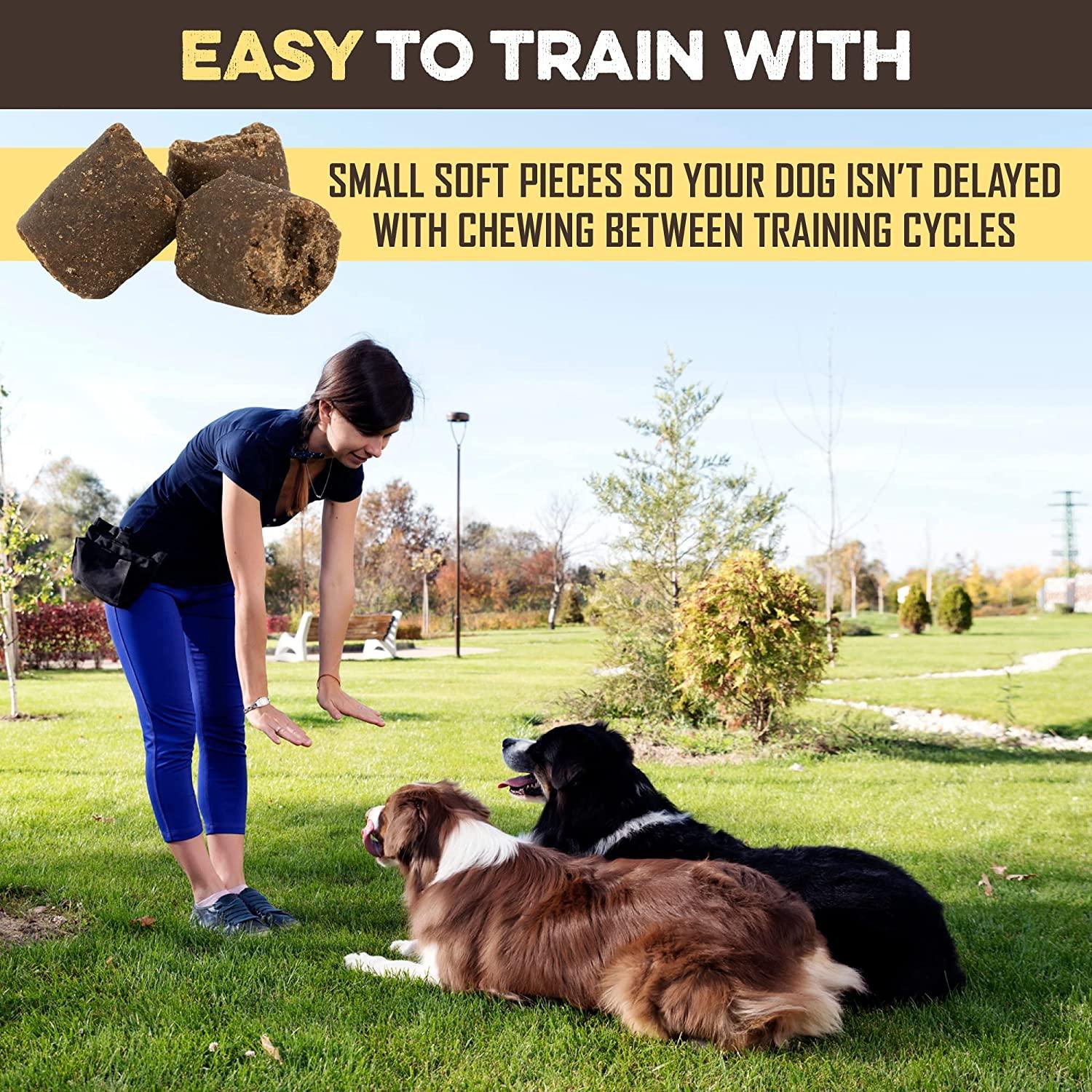 BRUTUS & BARNABY Peanut Butter & Banana Training Treats for Dogs - 8oz ...