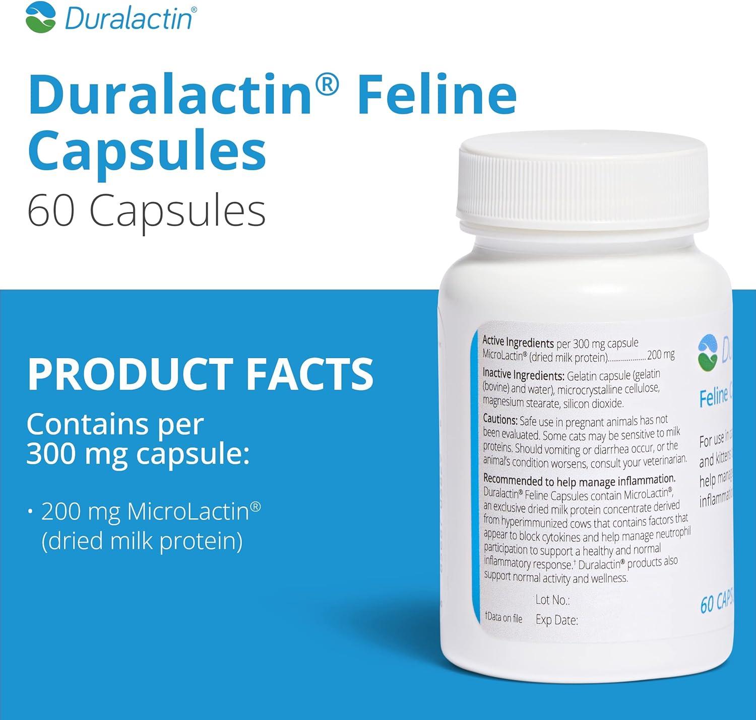 Duralactin Feline Nutritional Aid 200mg by Veterinary Products ...