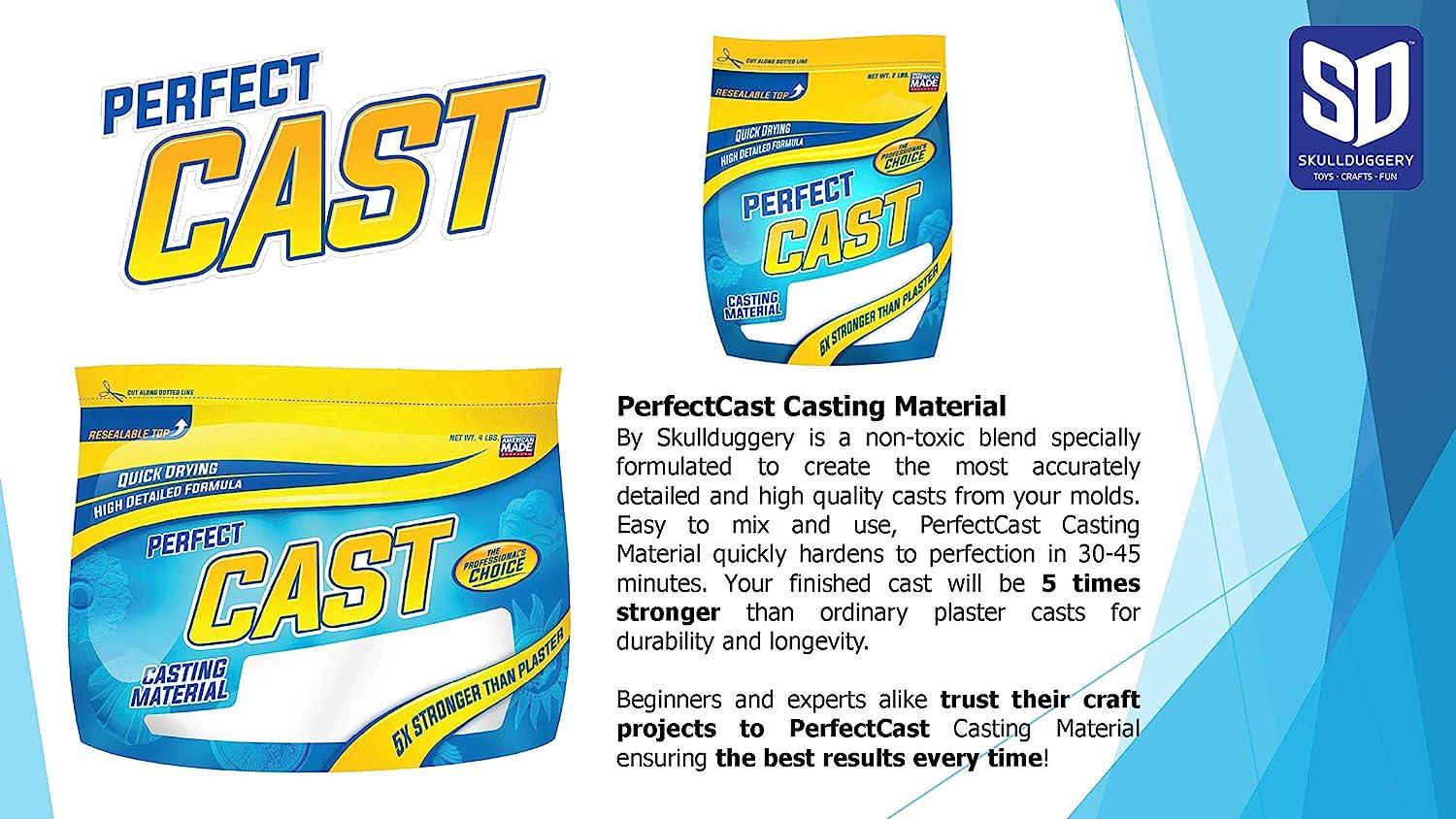 2LB Perfect Cast & Paint Harder Than Plaster Casting Material - 1 Unit ...