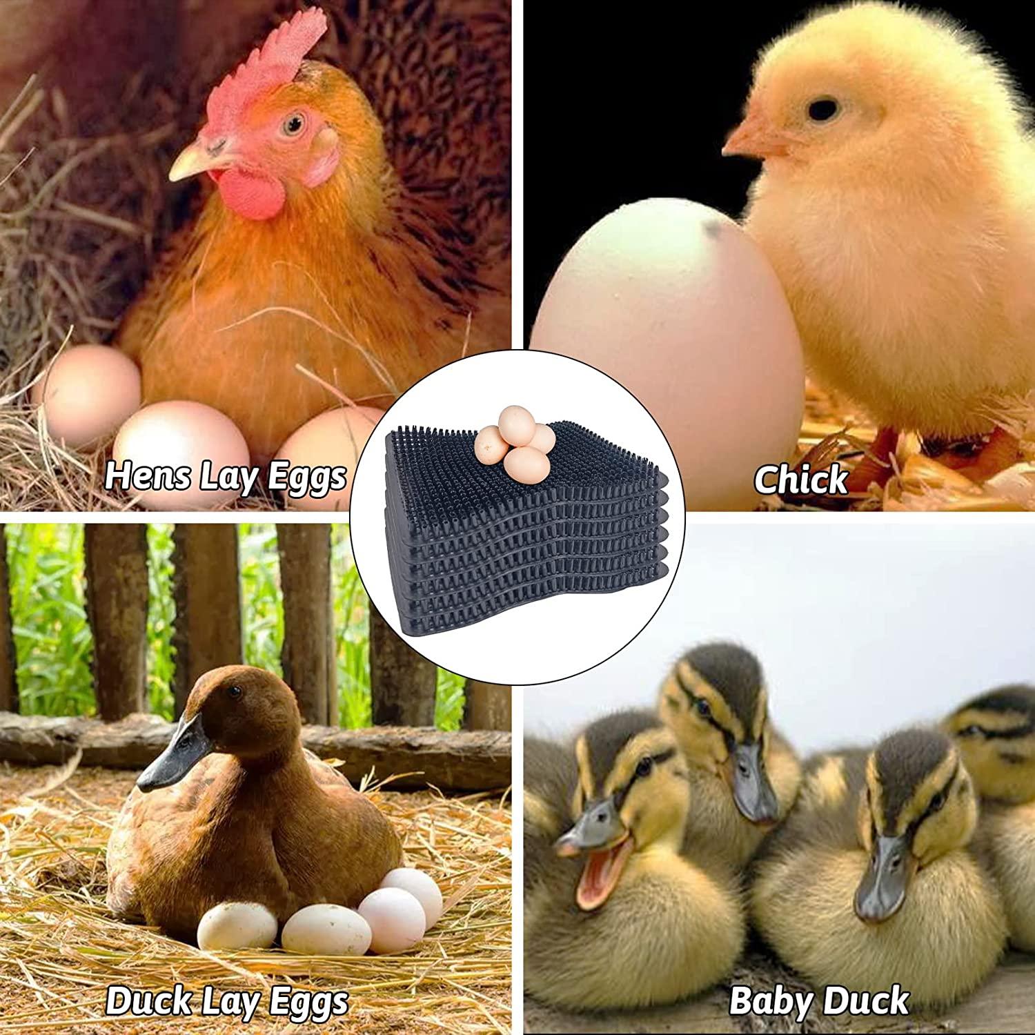 Hamiledyi Chicken Nesting Pads, Hen Nest Mats Washable, Chicken Nesting ...