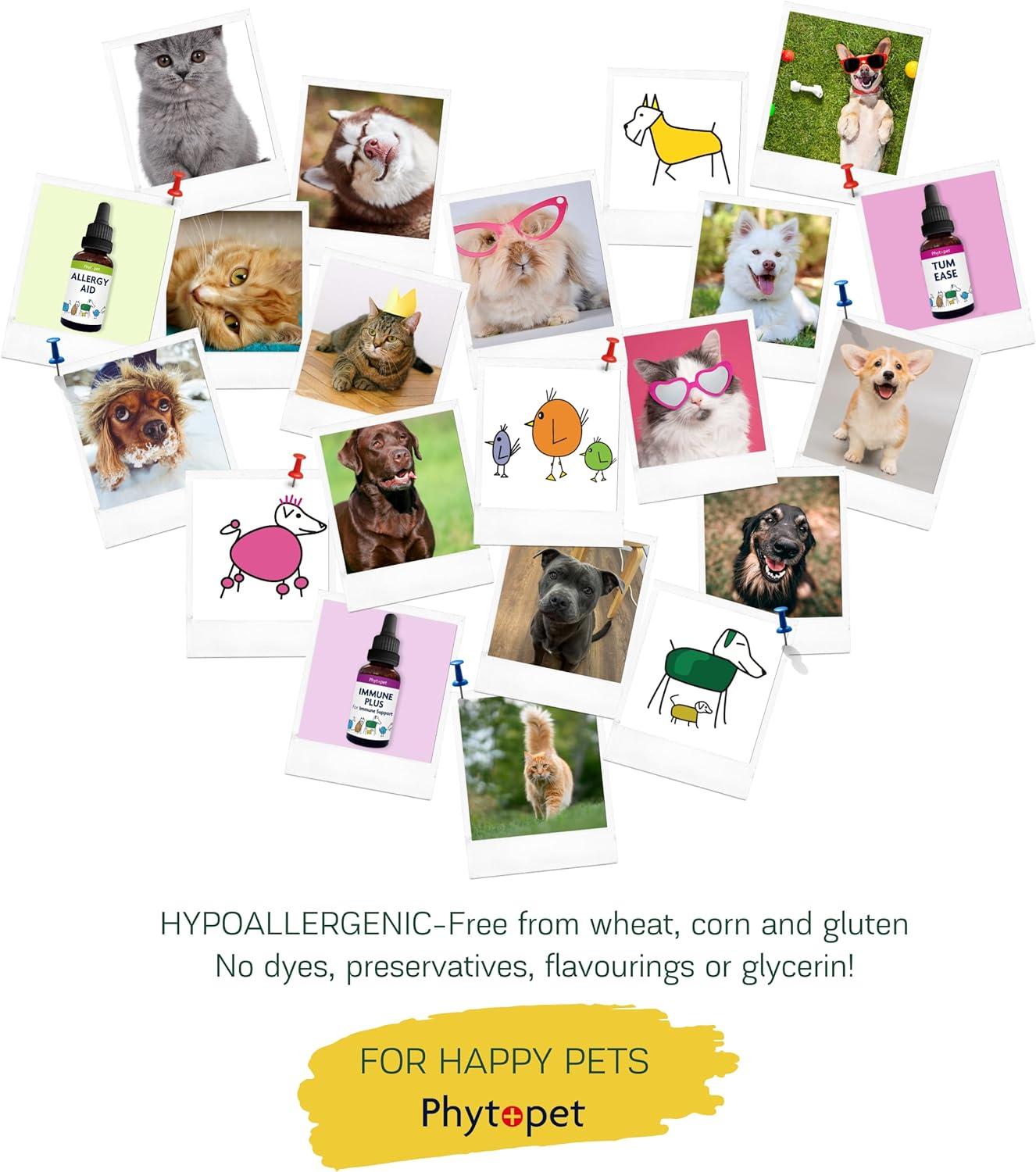 Phytopet Thuja Spray 30ml - Natural Herbal Remedy for Warts, Sarcoids ...