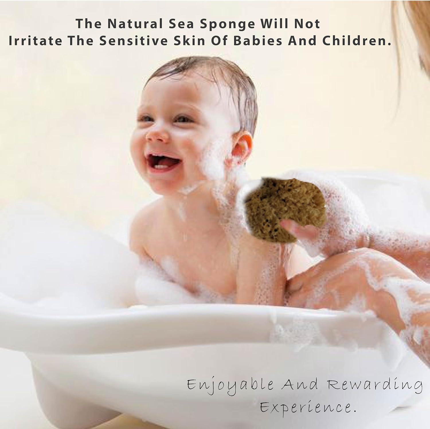 Natural Grass Sea Bath Sponge for Adults & Kids - Small Size (4-4.5 ...