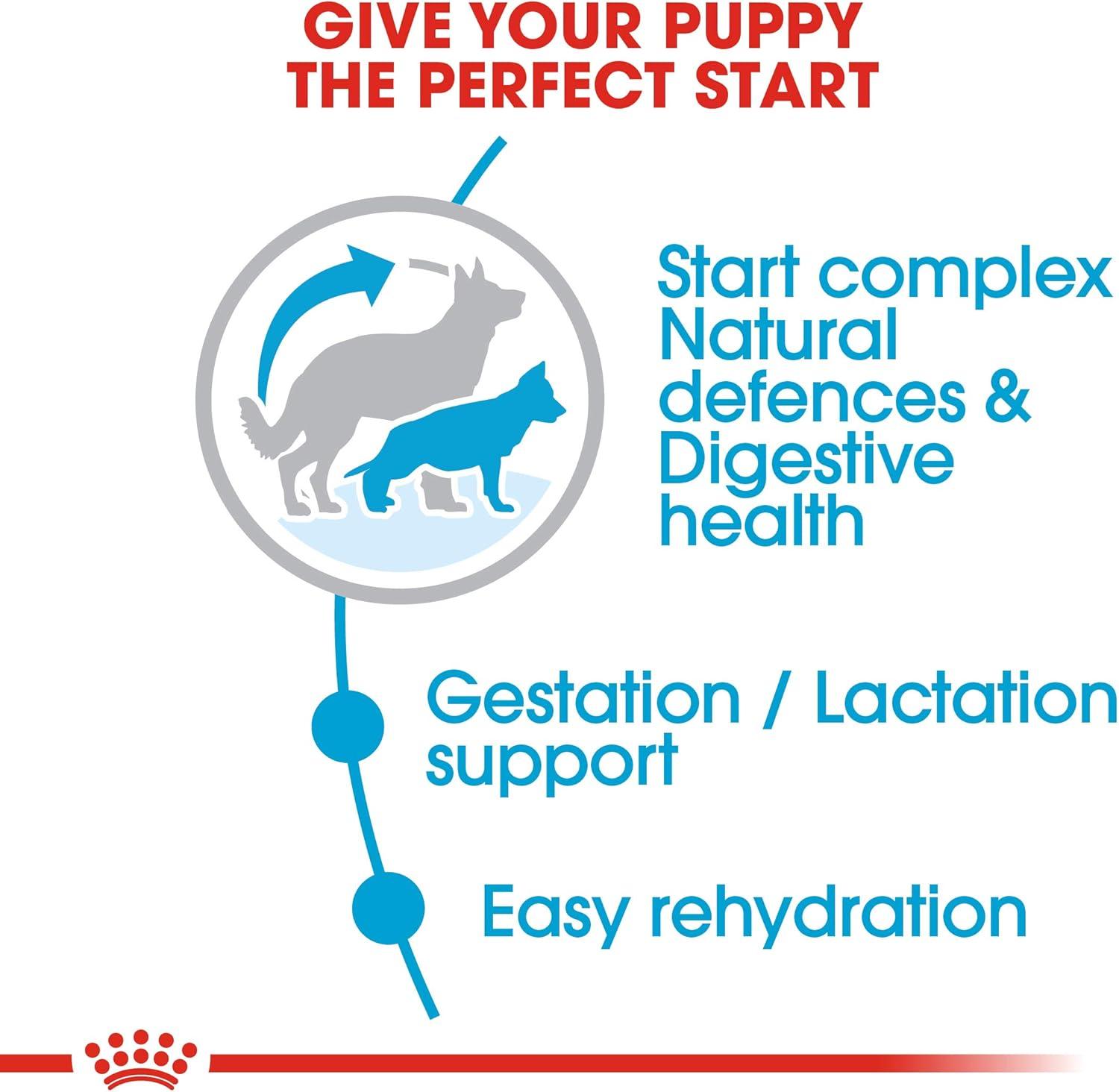 ROYAL CANIN - Maxi Starter Capacity: 4 kg | Buy Now with Express ...