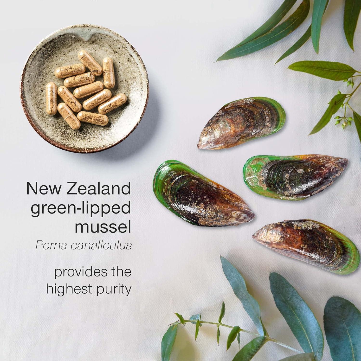 Green Lipped Mussel Capsules 1000mg - Pure New Zealand Green Lipped ...